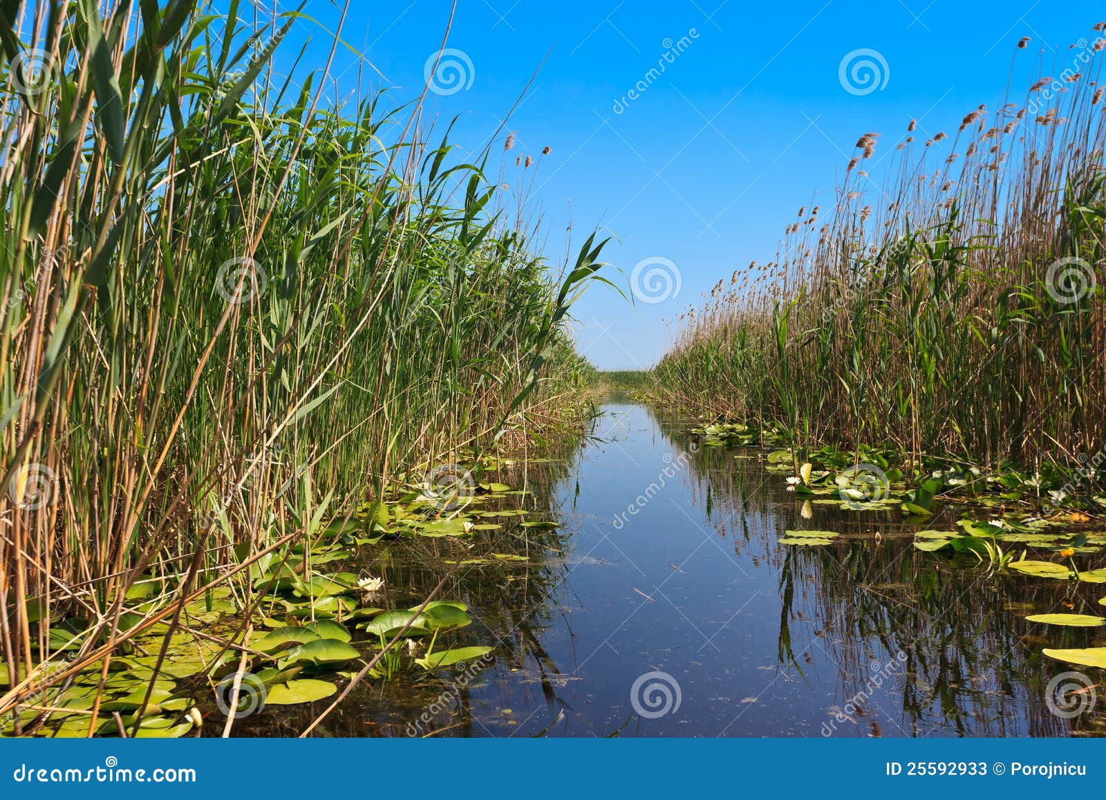 River channel stock image. Image of calm, river, water - 25592933