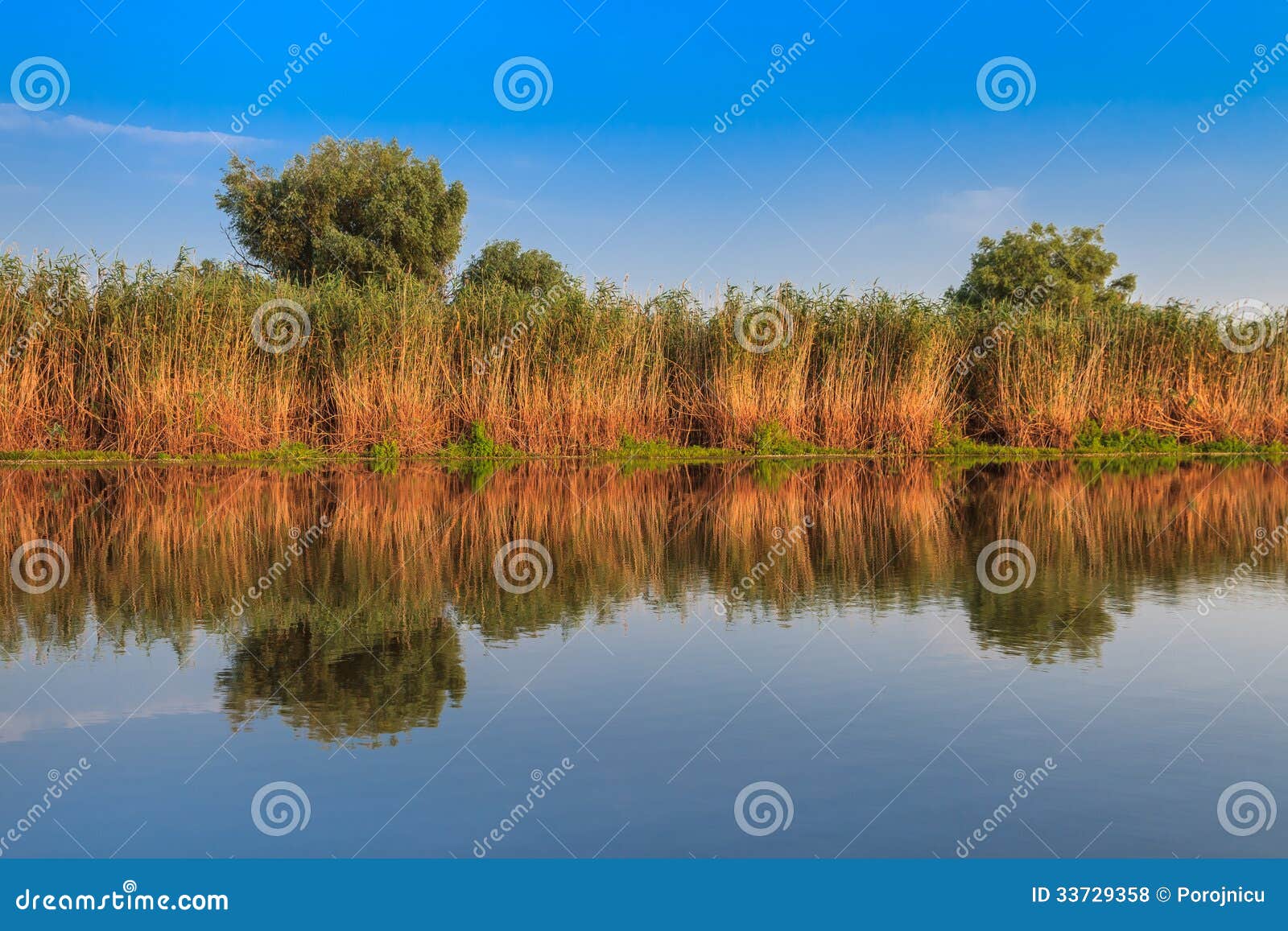 River channel stock photo. Image of water, delta, reflection - 33729358