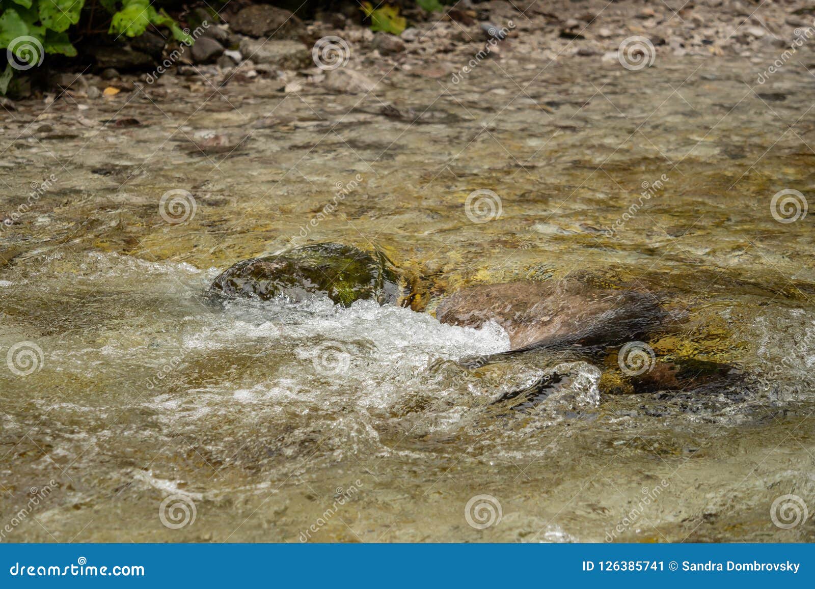 A River of Clear Water Flows Fast Stock Image - Image of outdoors ...