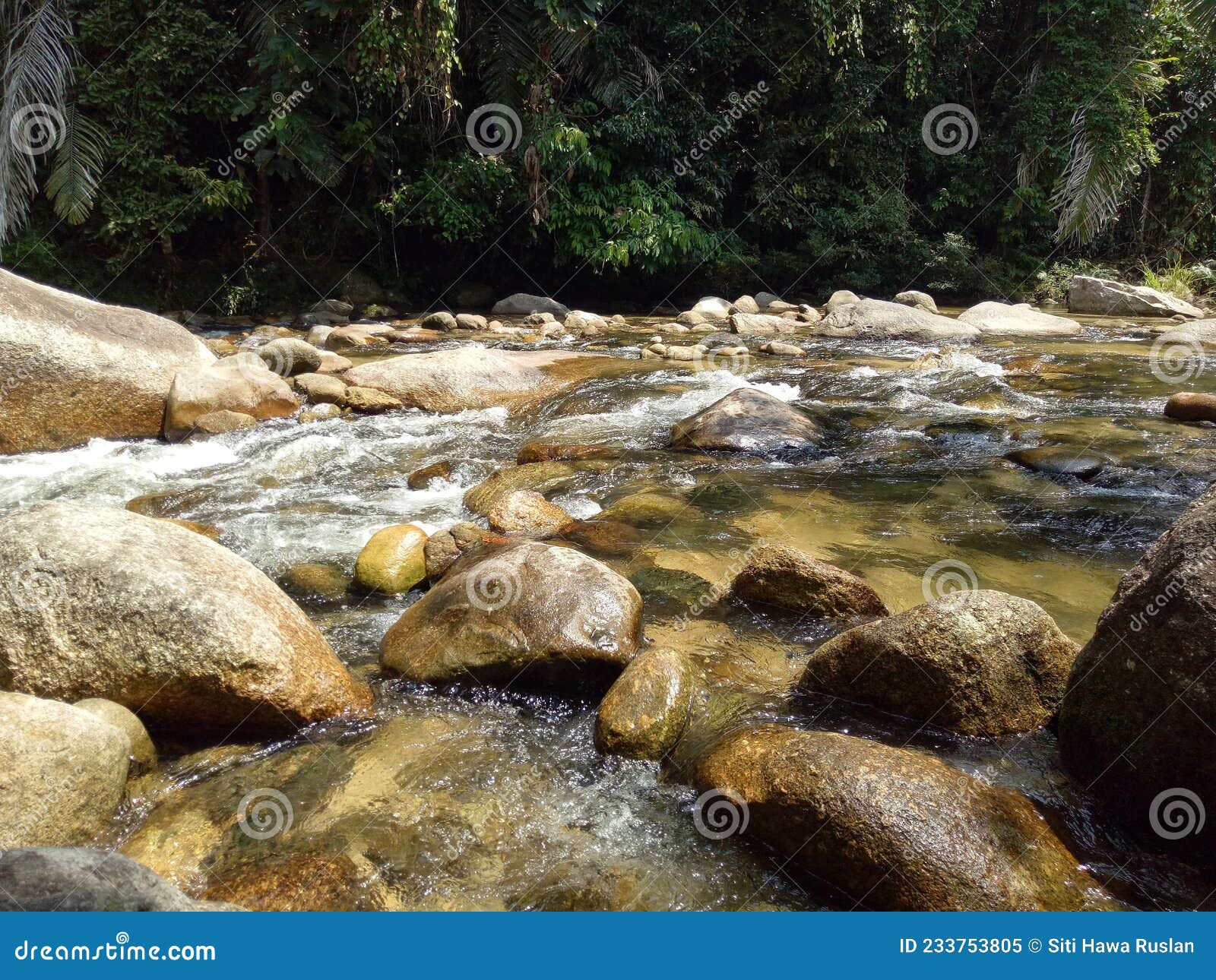 River with Clear Water Stream and Rocks Stock Image - Image of rocks ...
