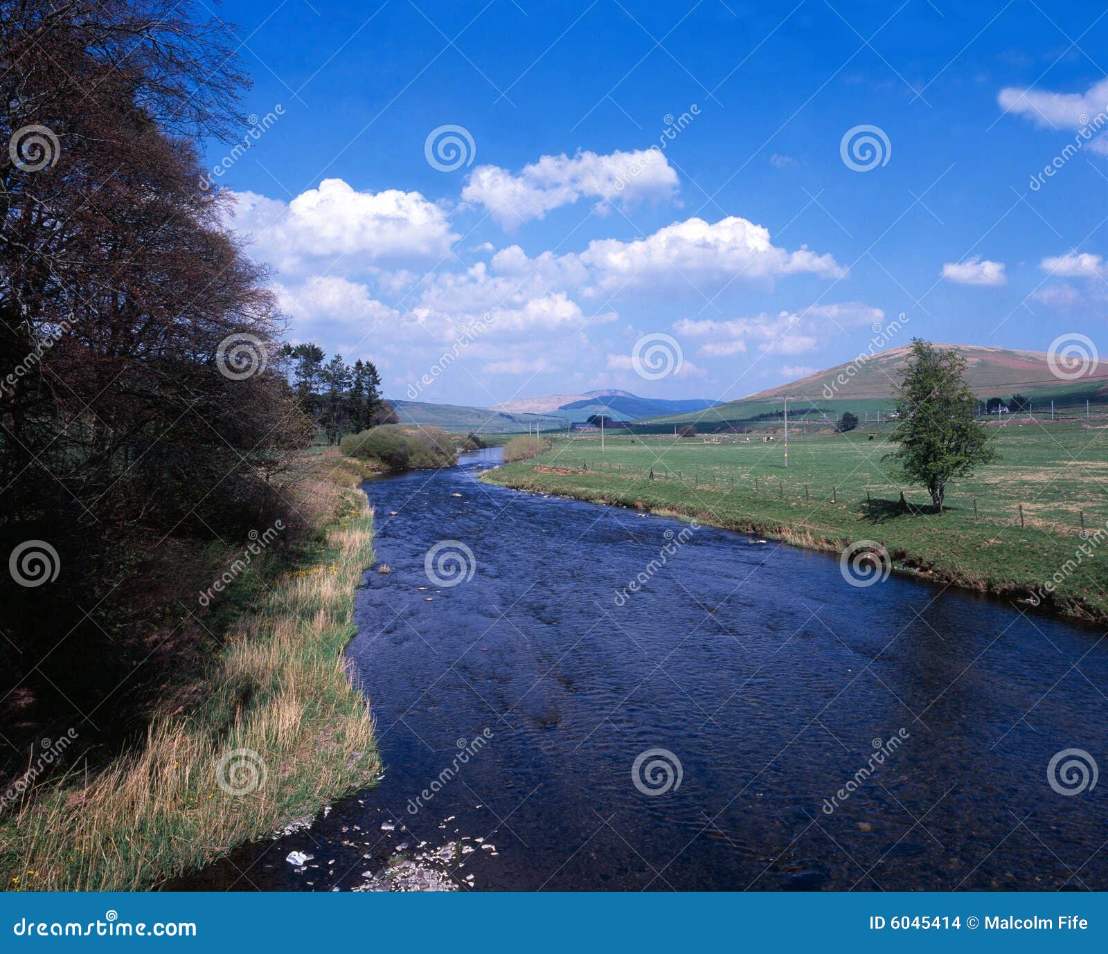 River Clyde stock photo. Image of white, water, green - 6045414