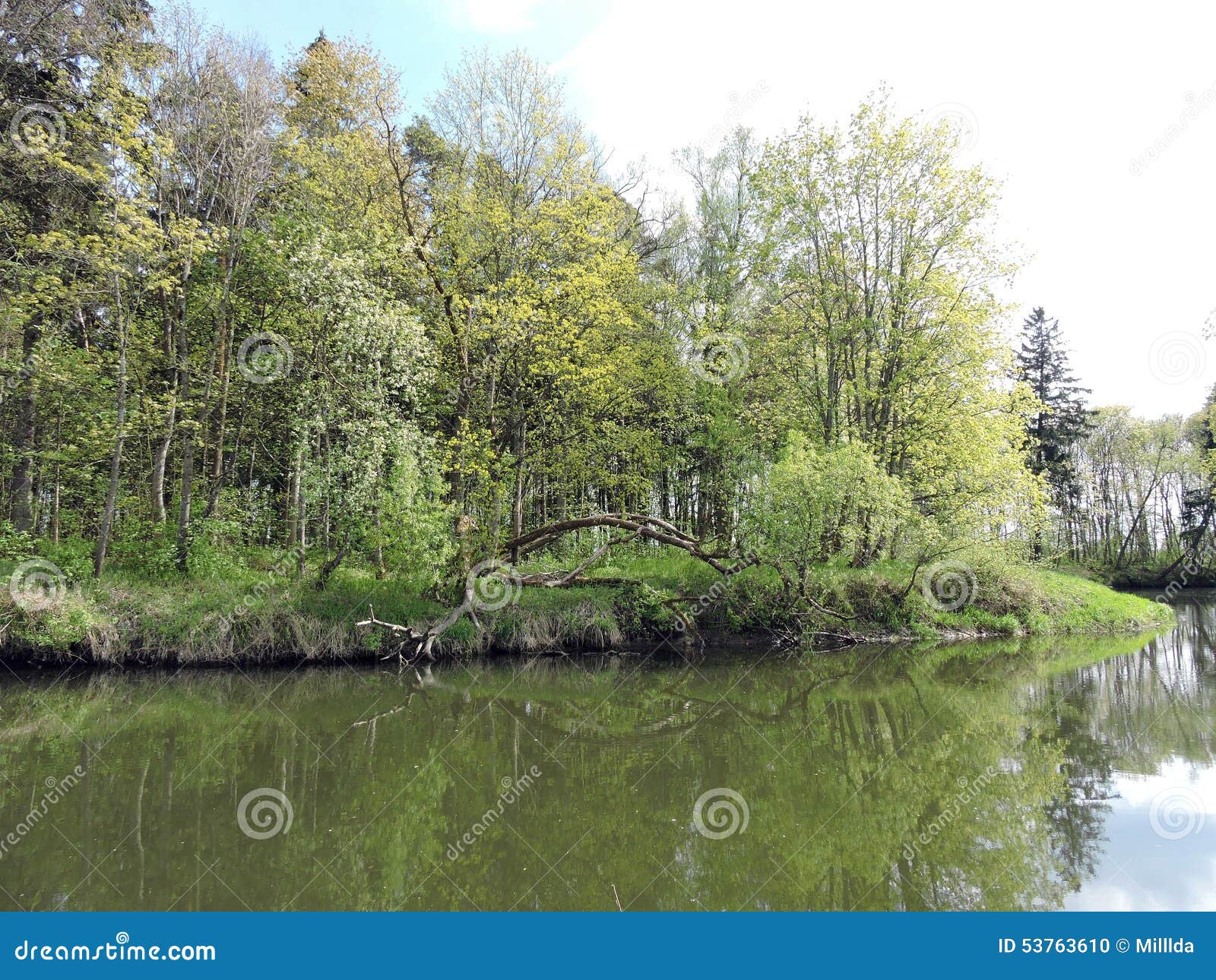 River coast, Lithuania stock photo. Image of lithuanian - 53763610