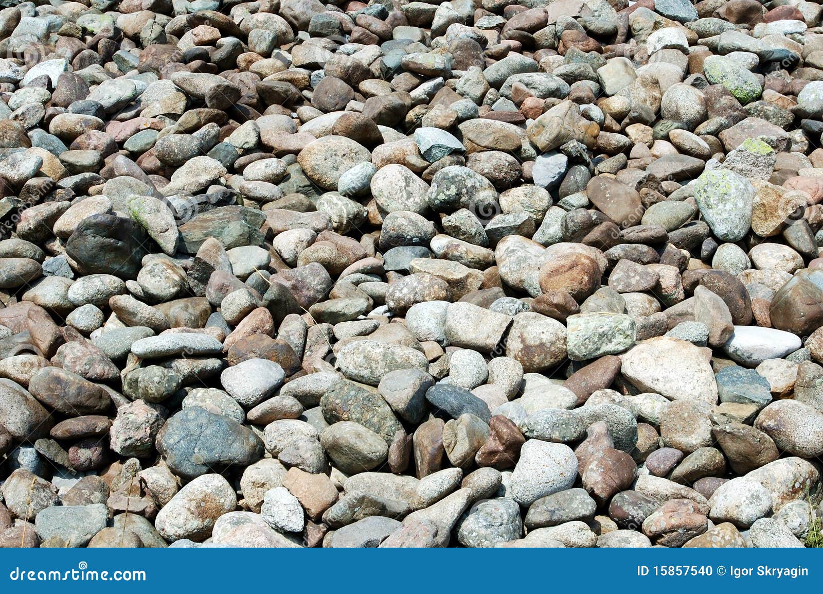 River cobble-stone stock photo. Image of stony, ground - 15857540