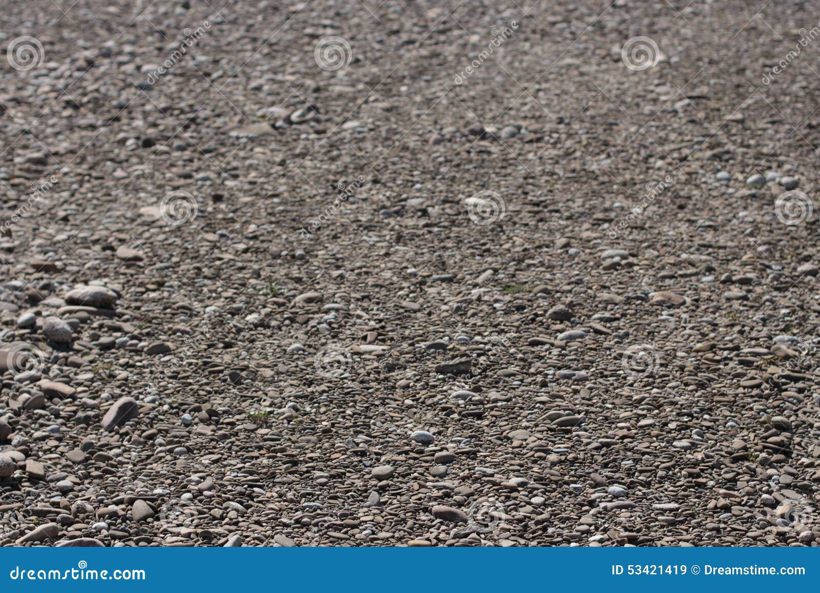 River cobble stone stock image. Image of polish, poland - 53421419