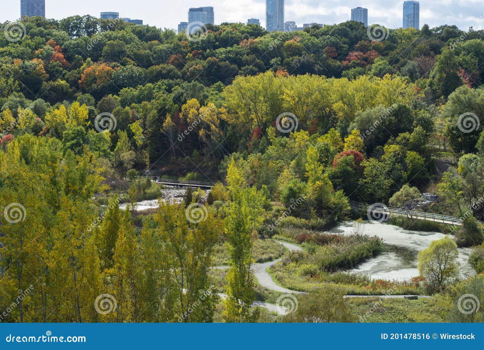 River with Colorful Greenery and Trees Stock Photo - Image of ...