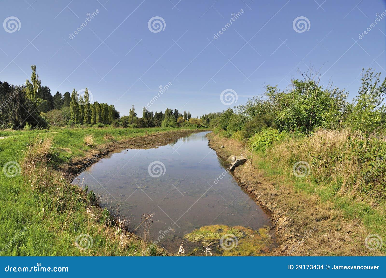 River comes to an end stock photo. Image of river, sunshine - 29173434