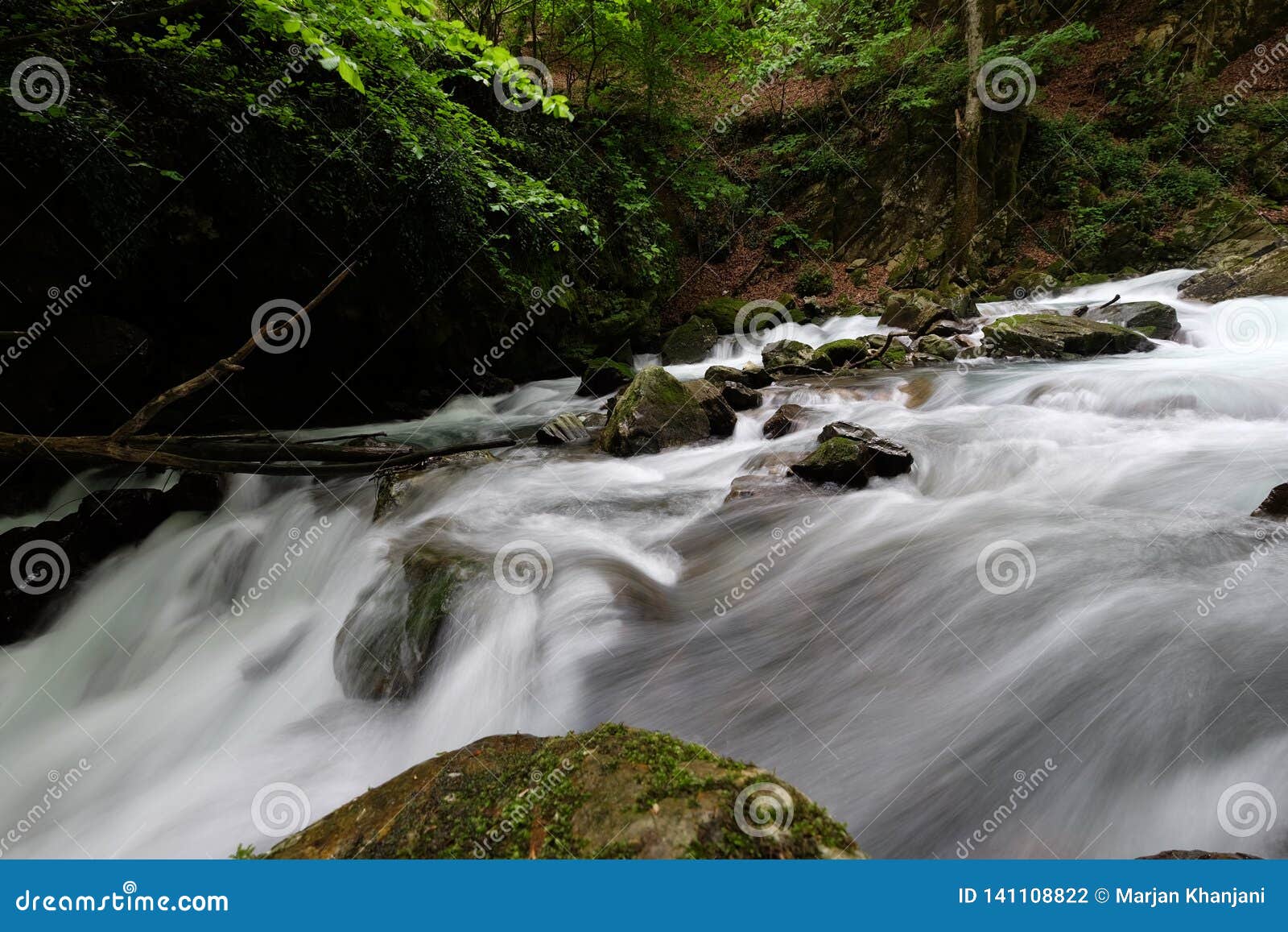 A River Running through a Remote Forest in North of Iran. Stock Photo ...