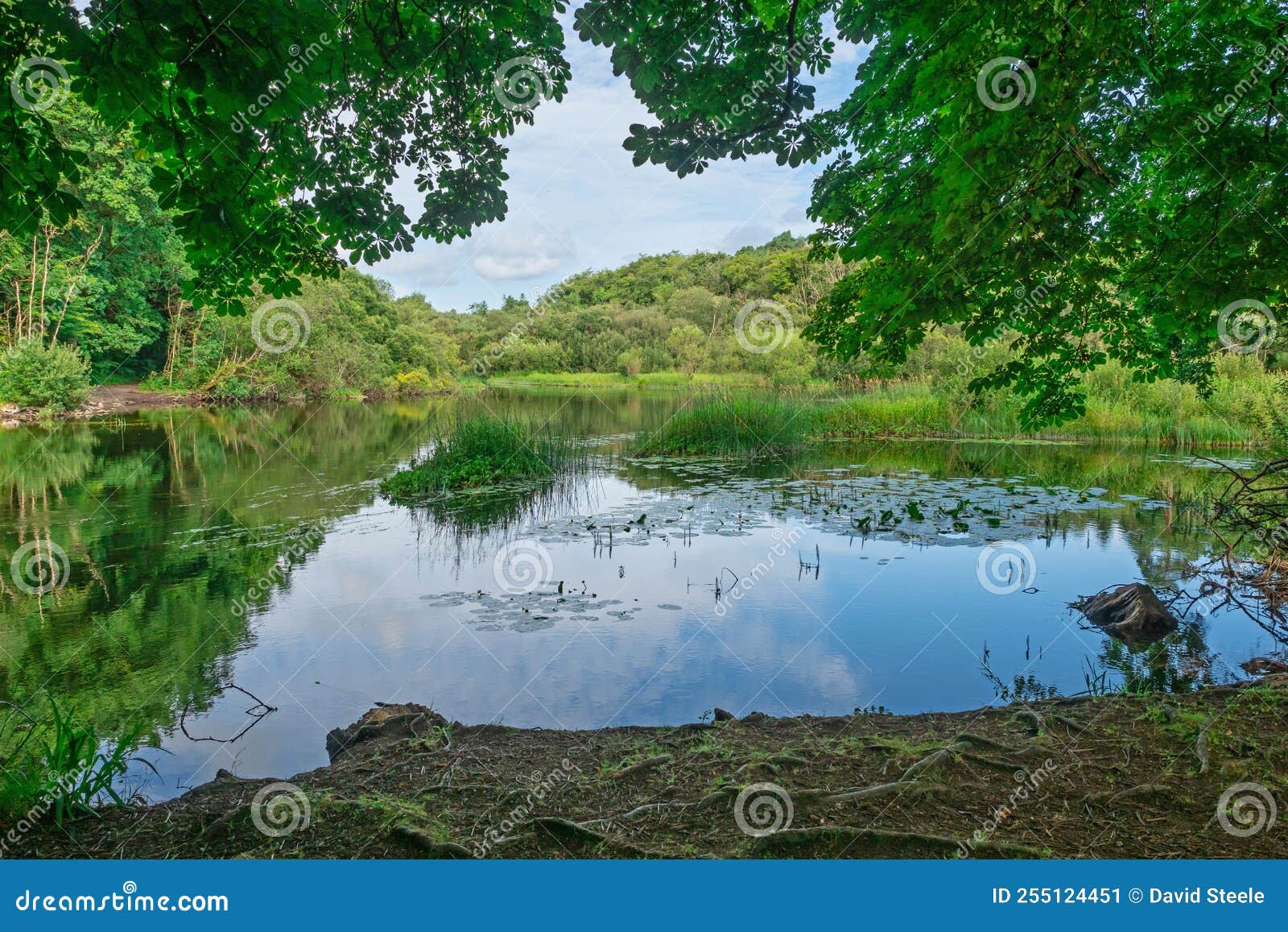 River Cong in Ireland stock image. Image of county, tourism - 255124451