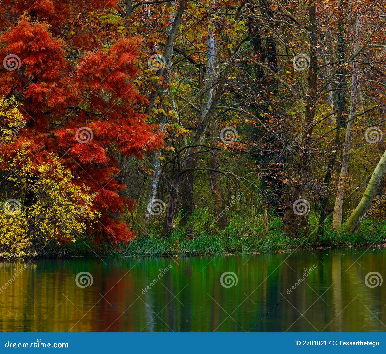 River Corner in Autumn stock image. Image of green, nature - 27810217