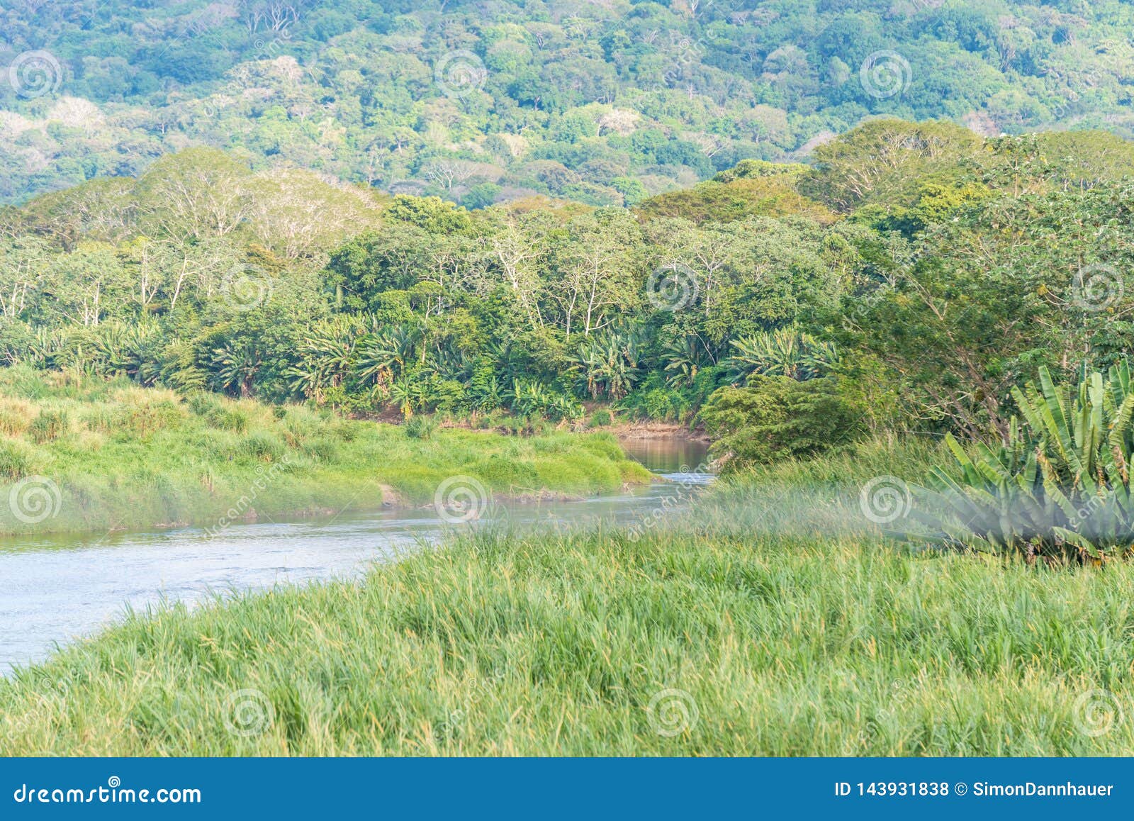River in Costa Rica in Rainforest Stock Photo - Image of jungle ...