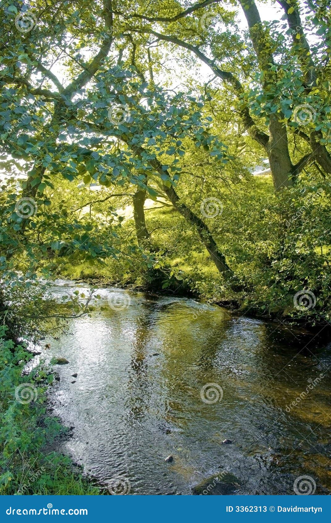 River in countryside stock image. Image of leaves, scenery - 3362313