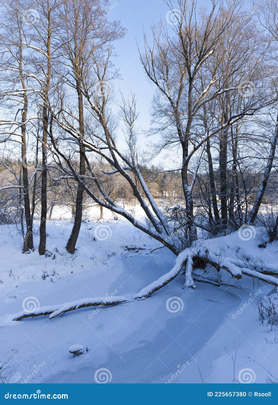 River Covered with Ice and Snow Stock Photo - Image of frost, river ...
