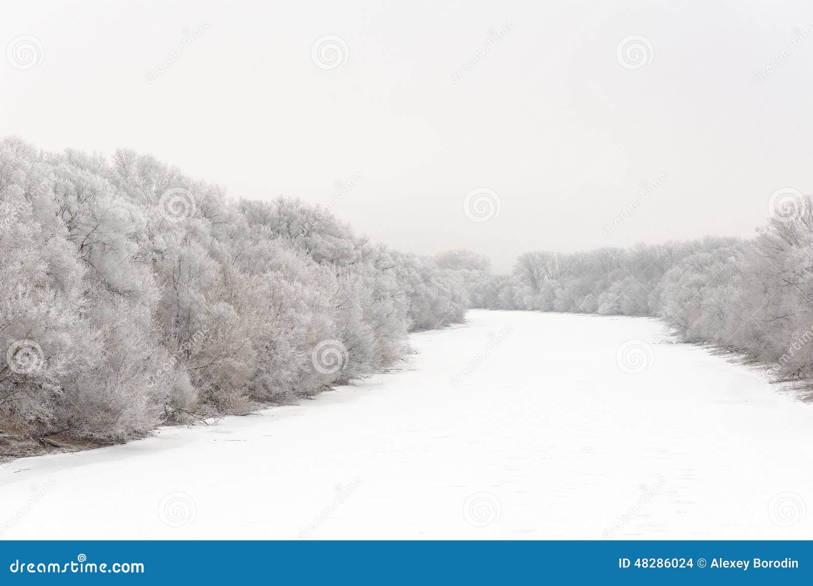 River Covered with Ice and Trees in Rime Frost Stock Photo - Image of ...