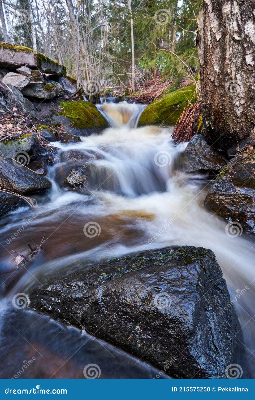 Small River in Creek in Spring Stock Photo - Image of rock, landscape ...
