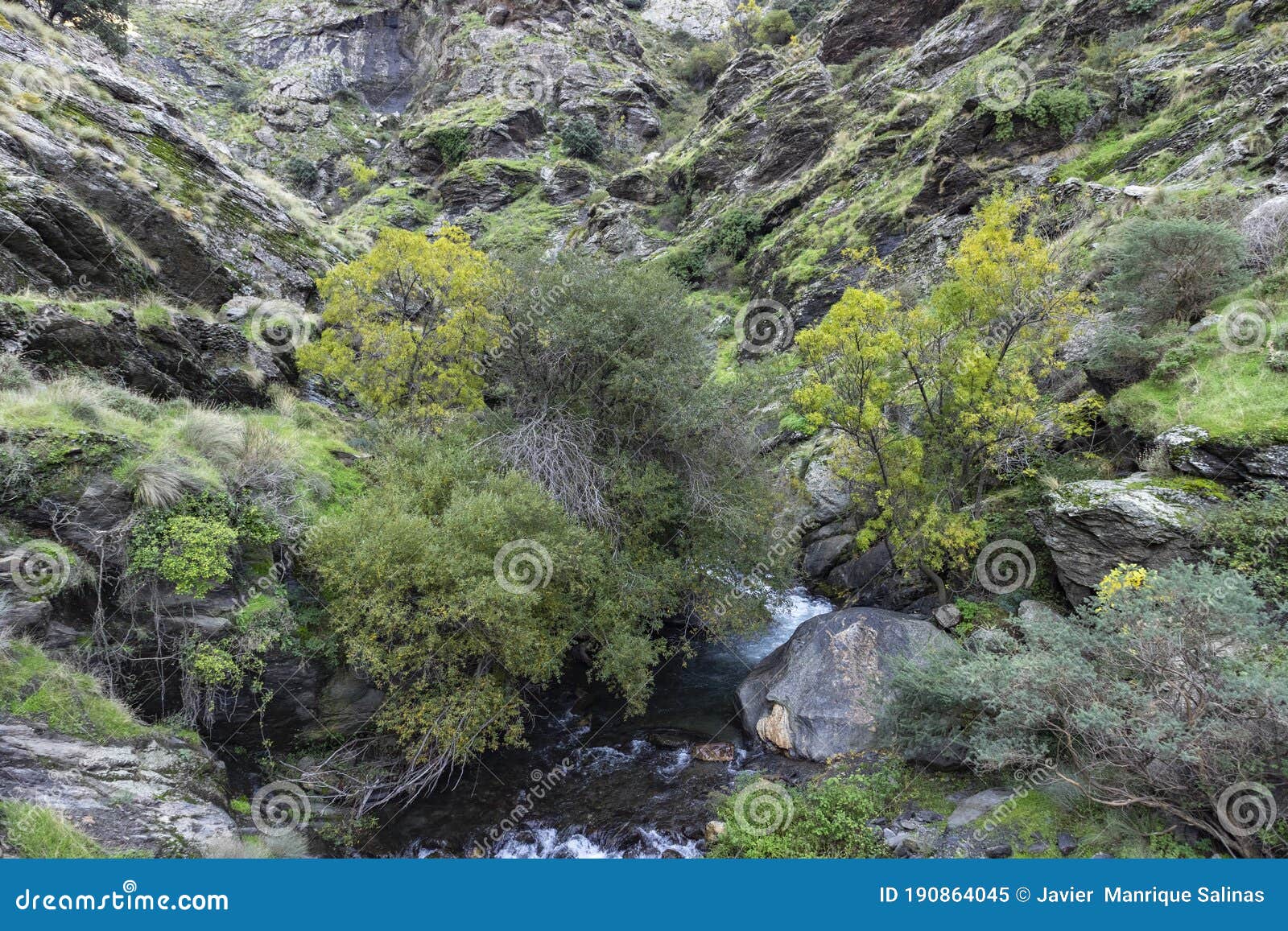 River Crossing between Trees and Steep Slopes Stock Image - Image of ...