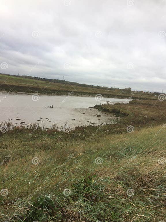 River crouch stock image. Image of seawater, shot, river - 102344323