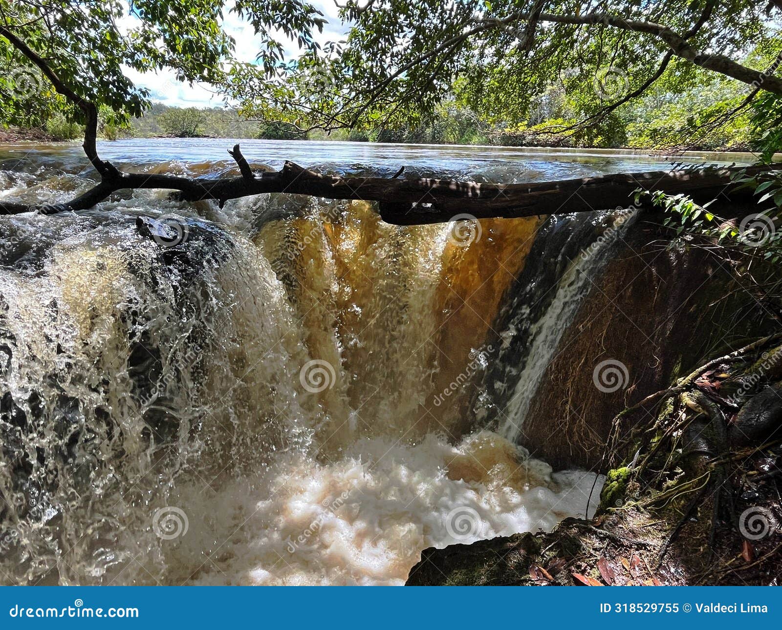 River Current Flowing in a Waterfall through Trees in Forest Stock ...