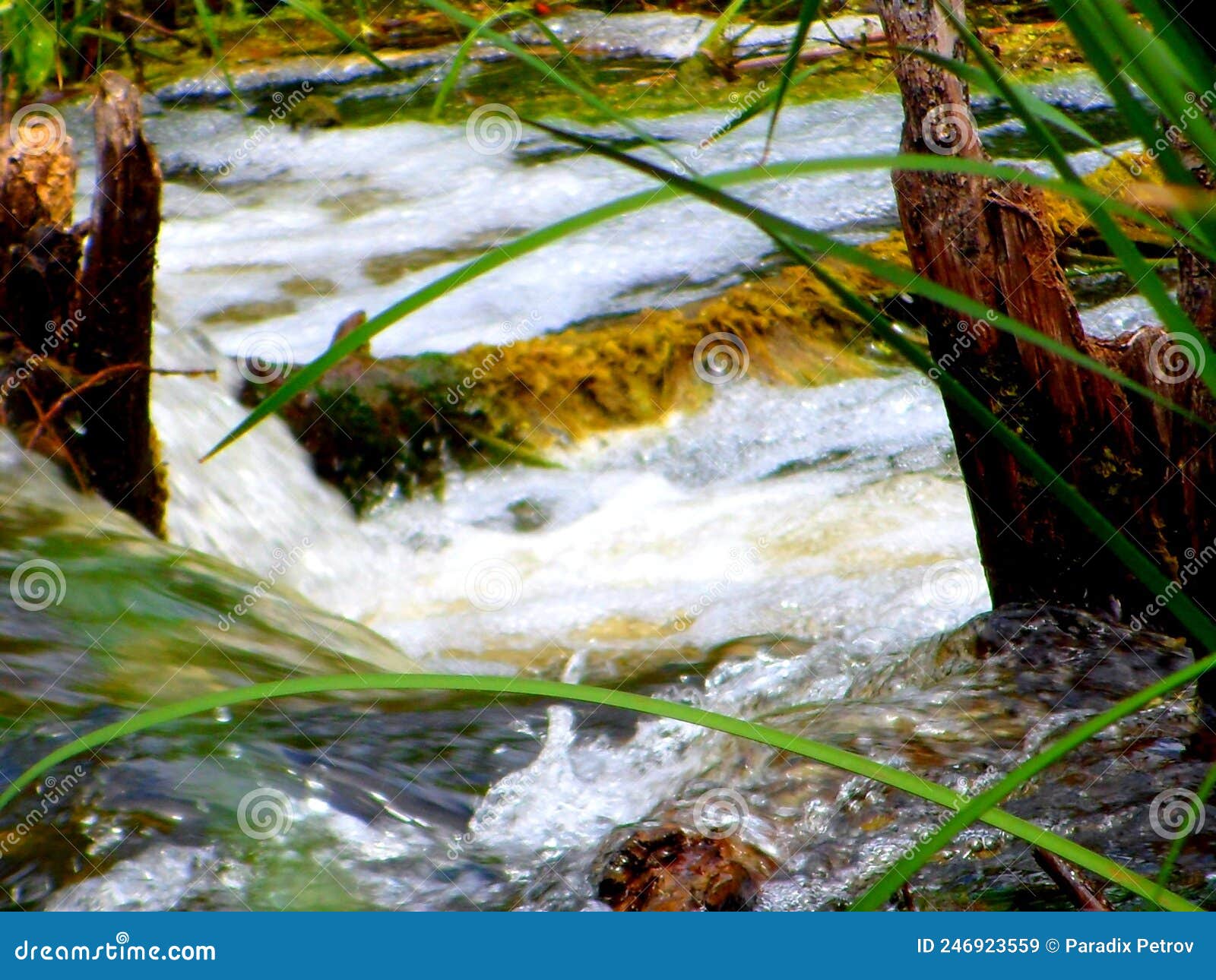 River Current Spring Dam Water Foam Stock Image - Image of current ...