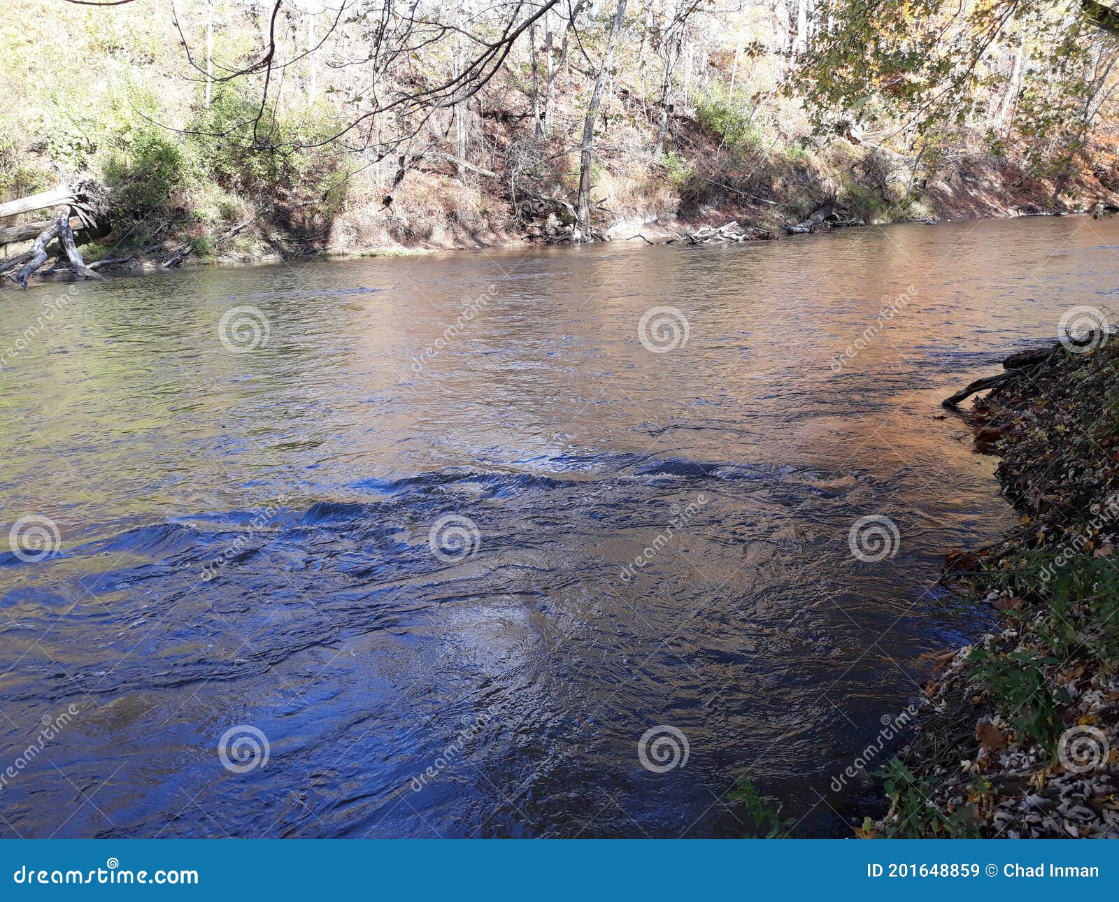 River Current Water Reflection Fall Stock Image - Image of plant ...