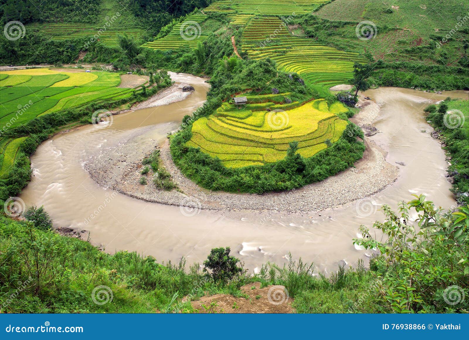 River Curve Irrigation and Rice Fields Terraced in Vietnam Stock Photo ...