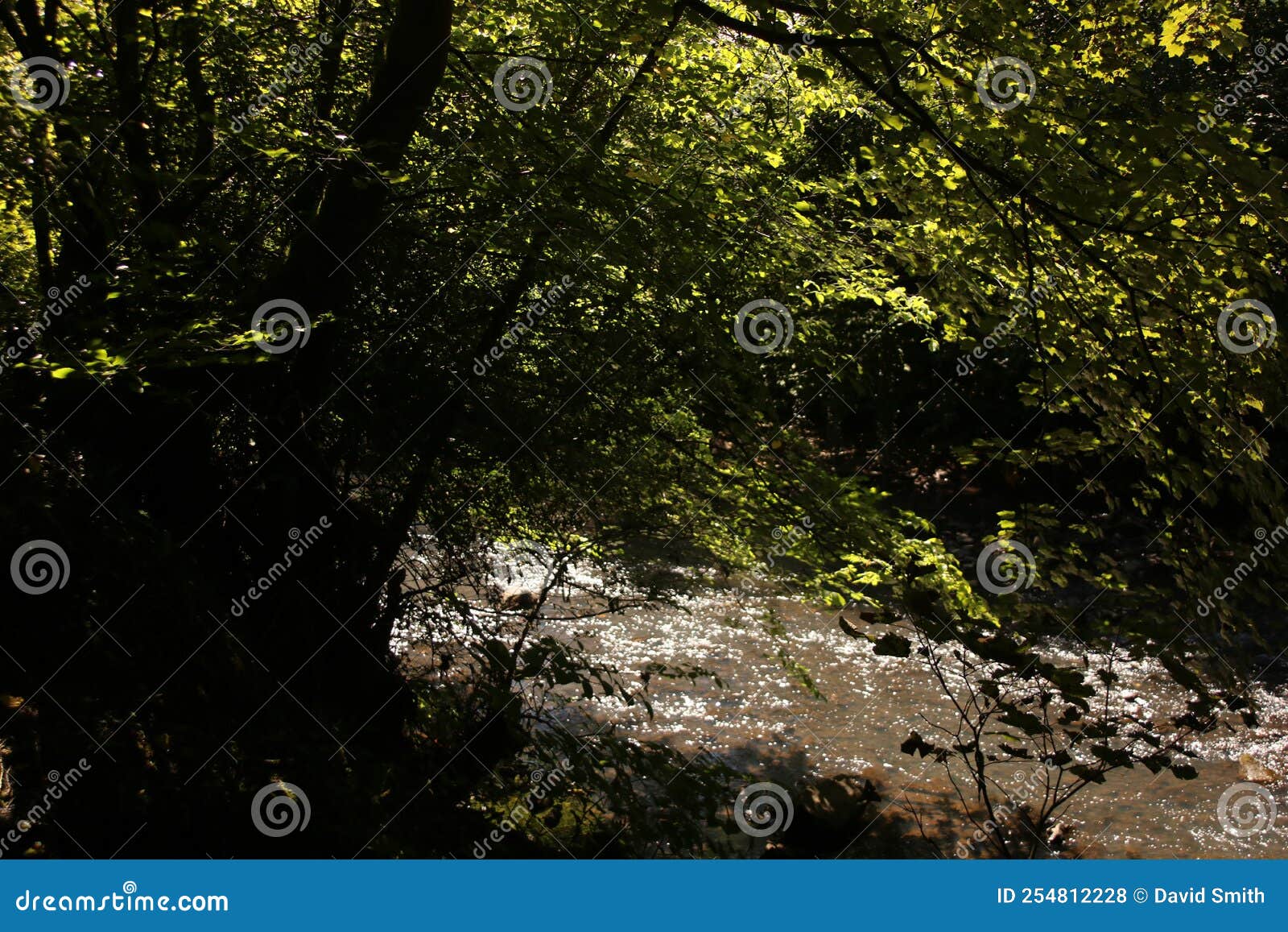 The river cynon in summer stock photo. Image of summer - 254812228