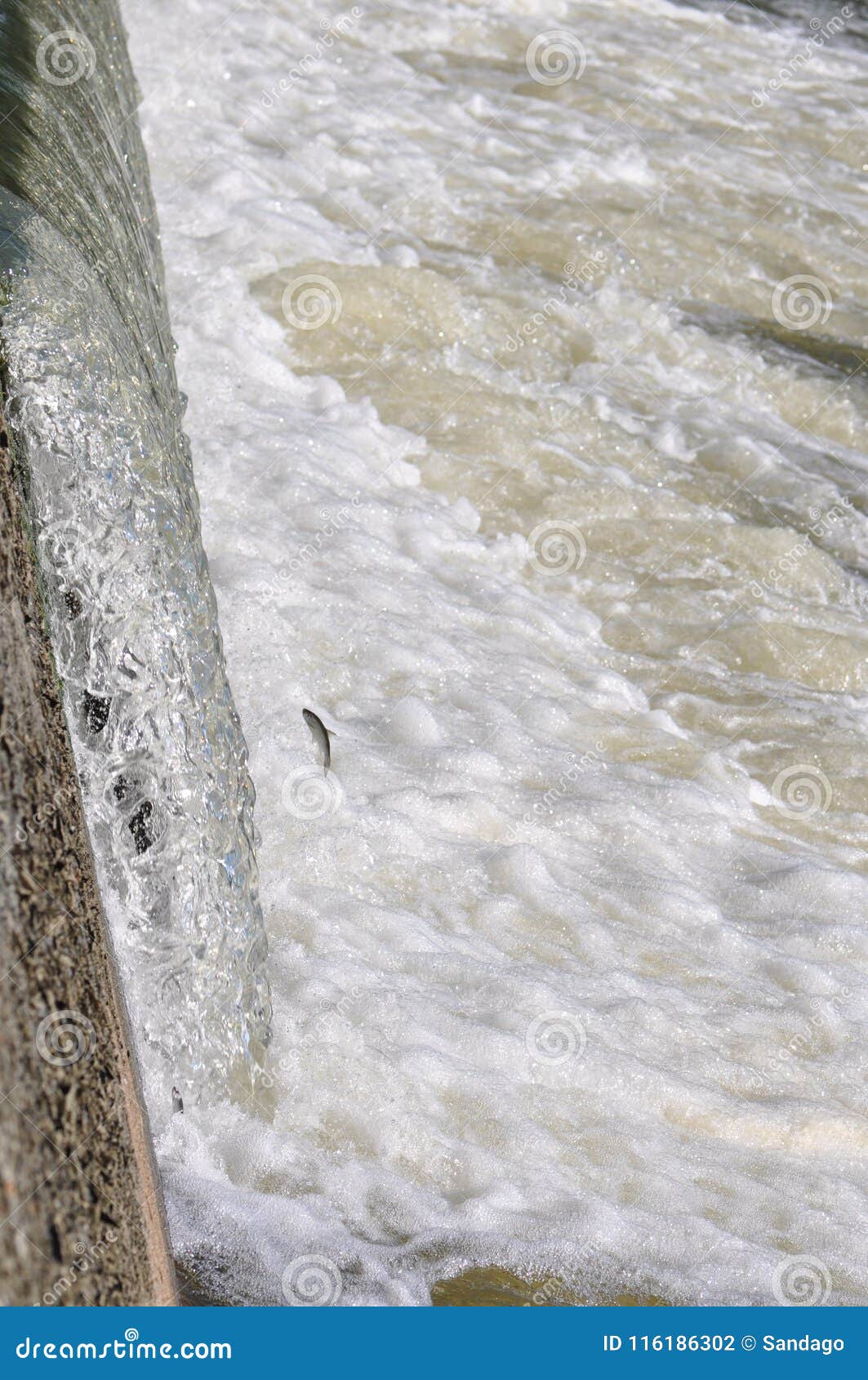 River dam stock photo. Image of detail, background, vigorously - 116186302