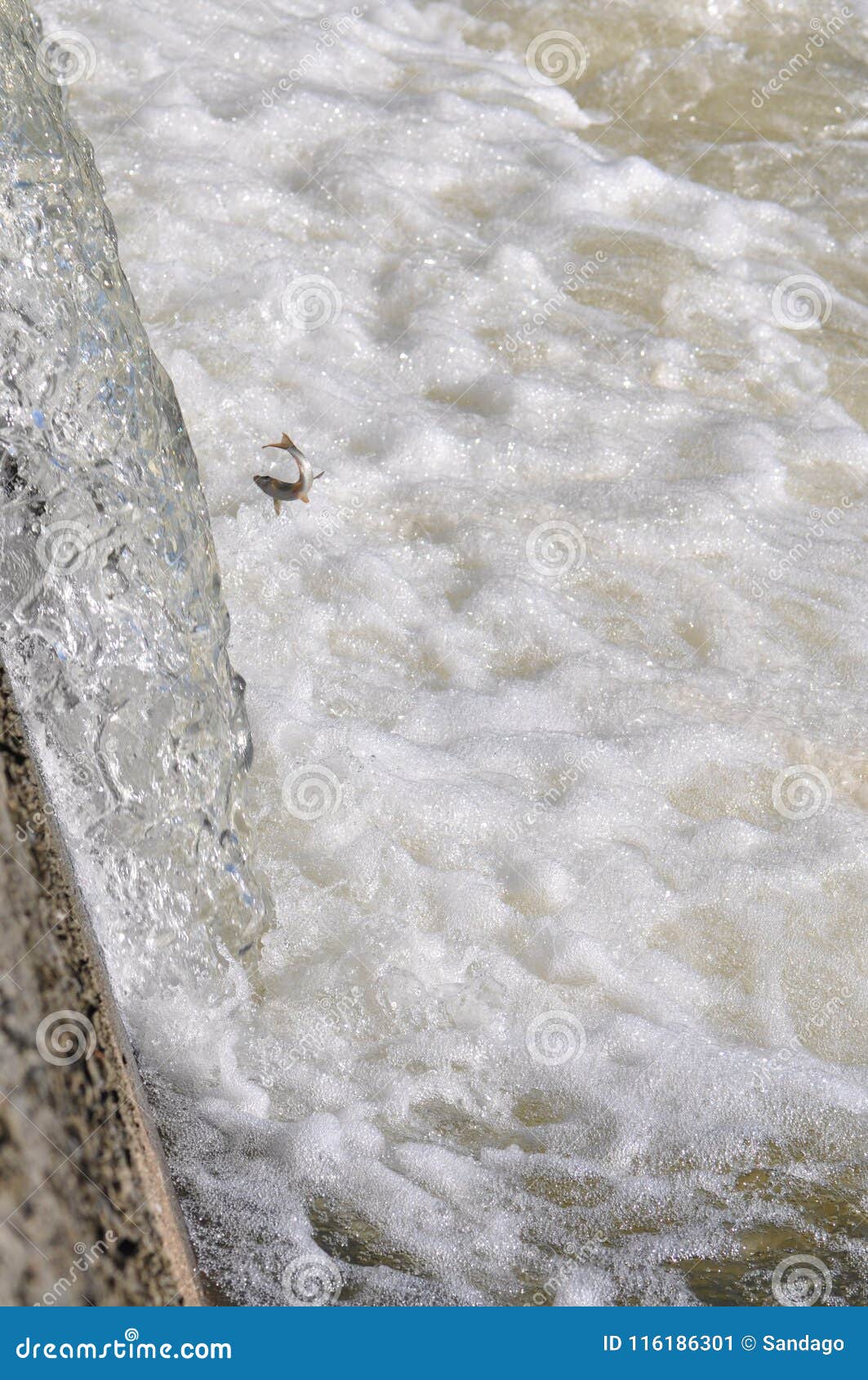 River dam stock image. Image of abstract, environment - 116186301