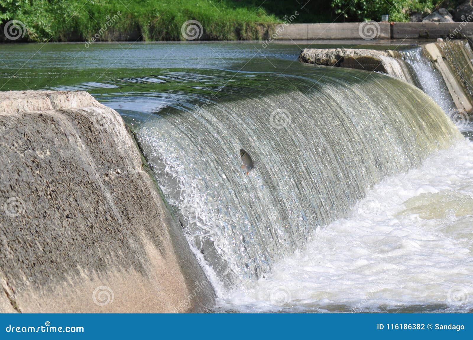 River dam stock photo. Image of current, vigorously - 116186382