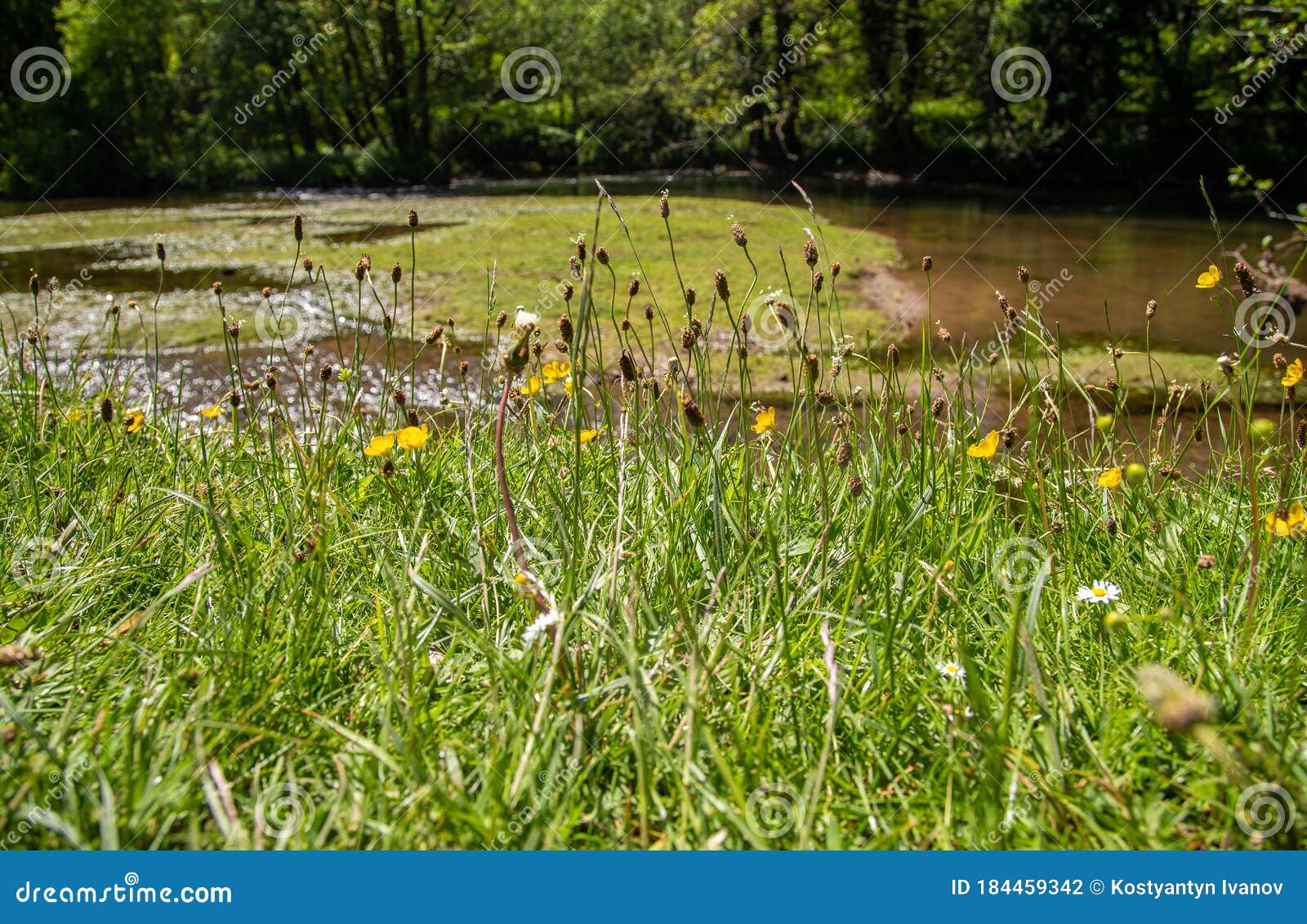 National Park Peak District River Stock Photo - Image of derbyshire ...