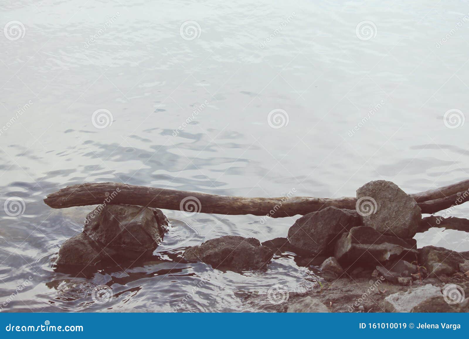 Branch and Rocks in the River Stock Image - Image of rocks, croatia ...