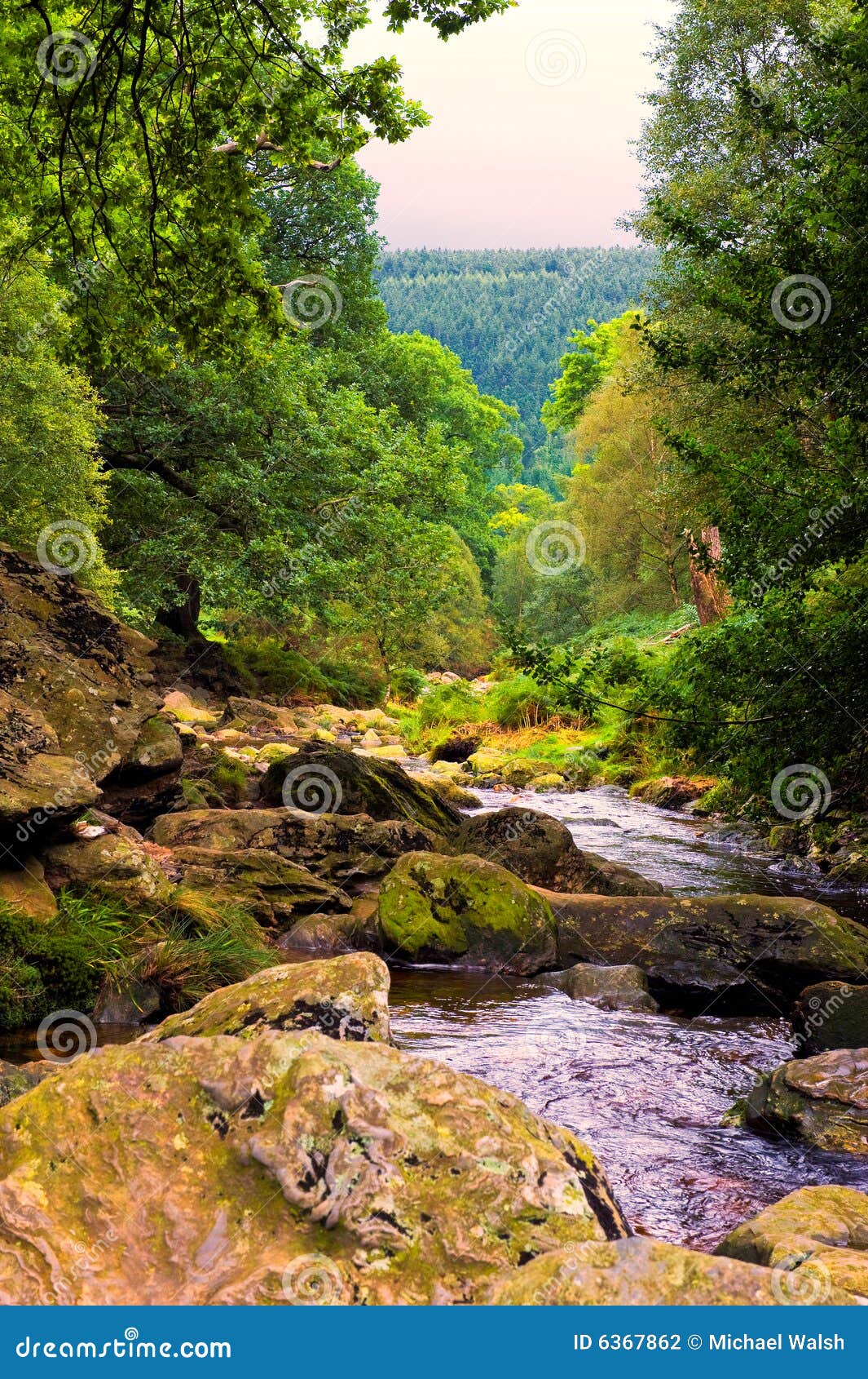 River Dargle stock photo. Image of river, cascade, waterfall - 6367862
