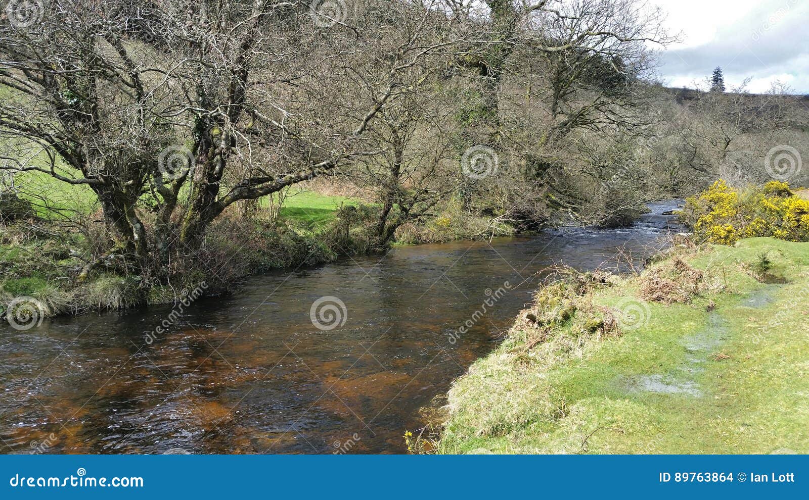 River Dart on Dartmoor National Park. Devon Uk Stock Photo - Image of ...