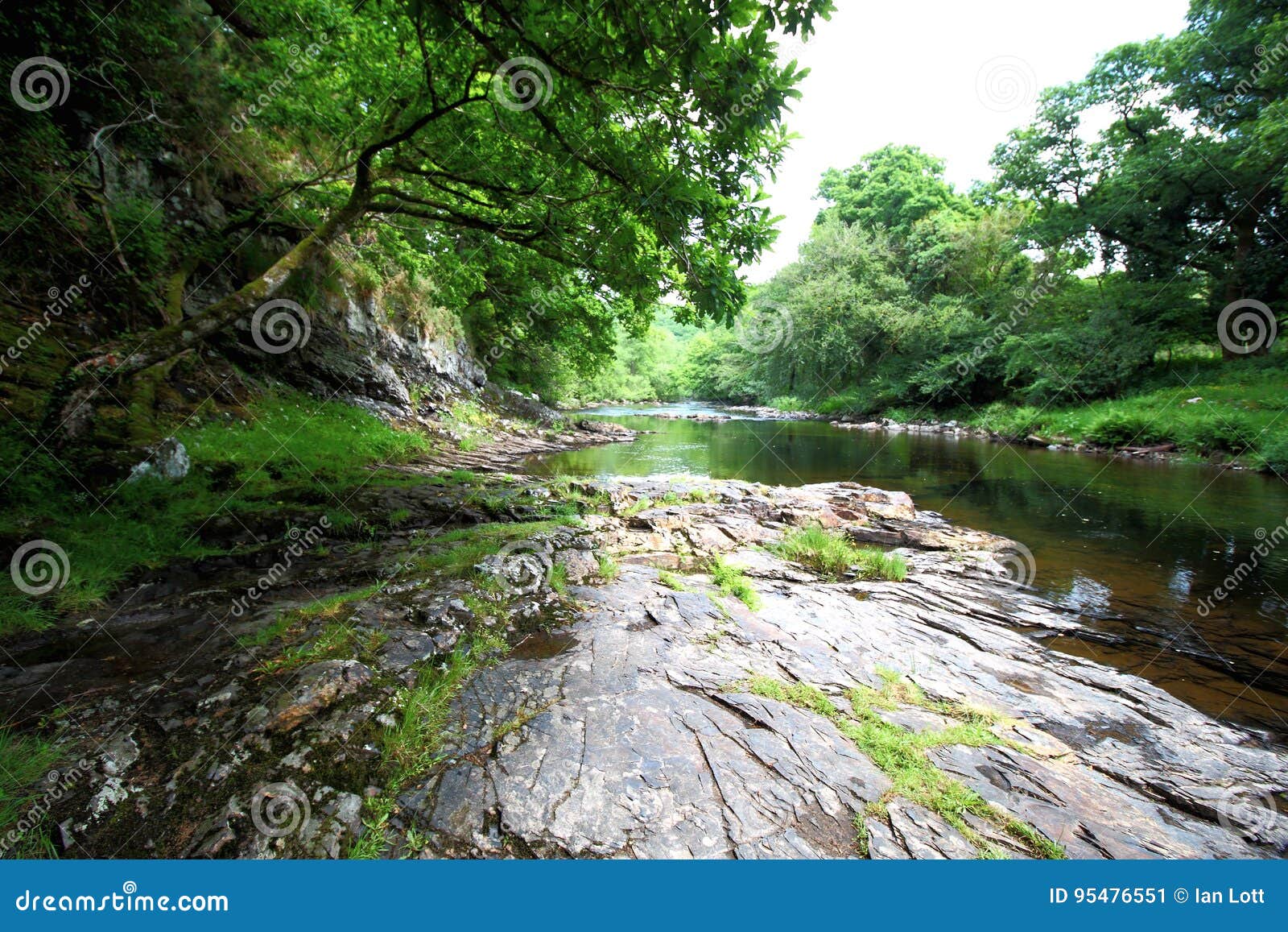 River Dart , Dartmoor National Park, Devon, Uk Stock Image - Image of ...