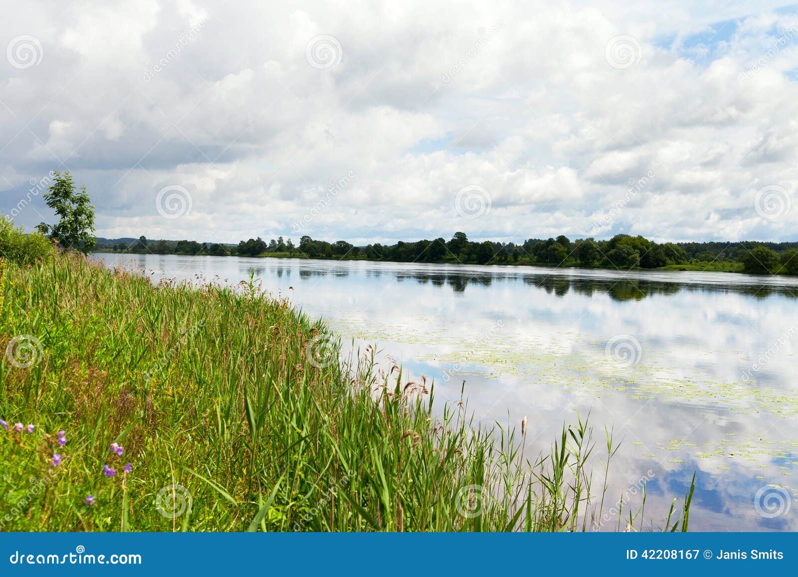 River Daugava, Latvia. stock image. Image of afternoon - 42208167