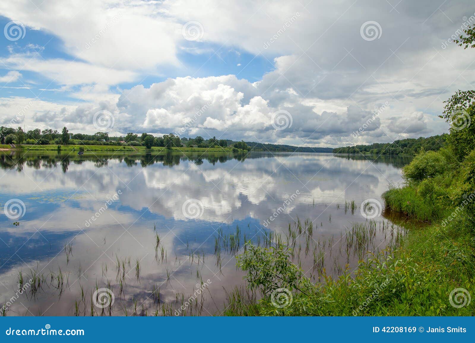 River Daugava, Latvia. stock image. Image of summer, branch - 42208169