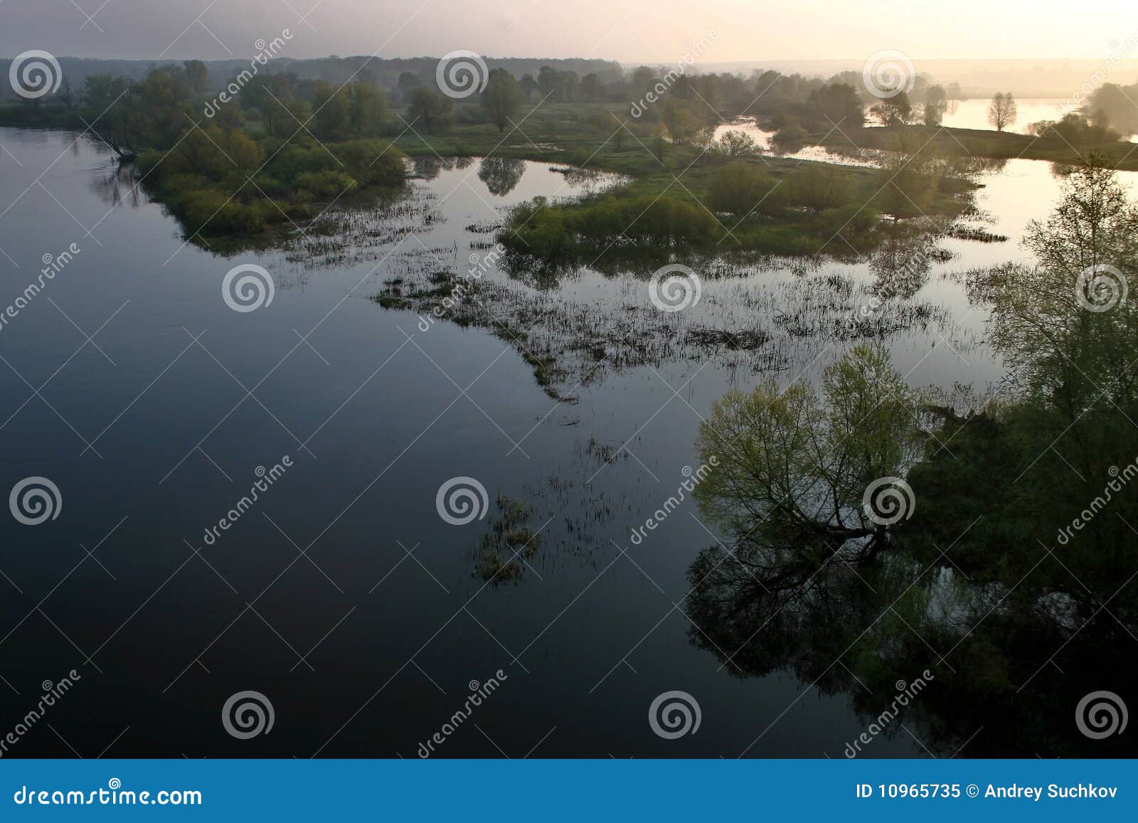 River at dawn stock image. Image of spring, dawn, tree - 10965735