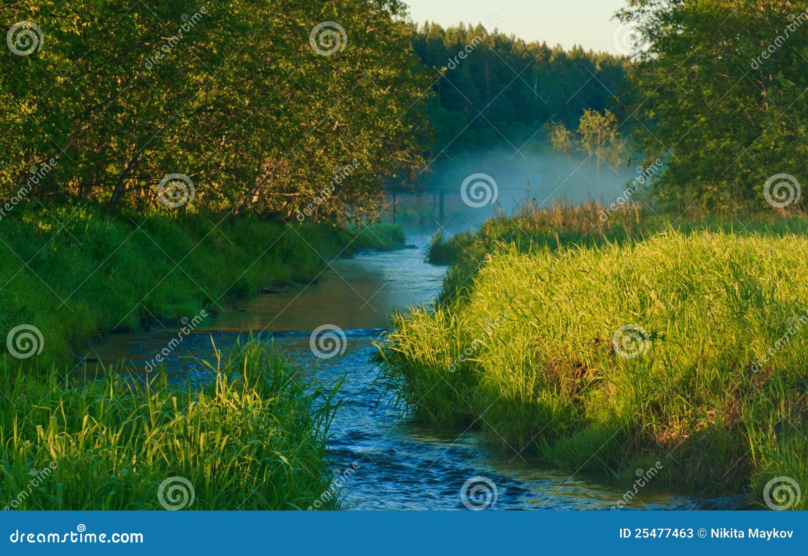 River after dawn stock image. Image of lake, halo, light - 25477463