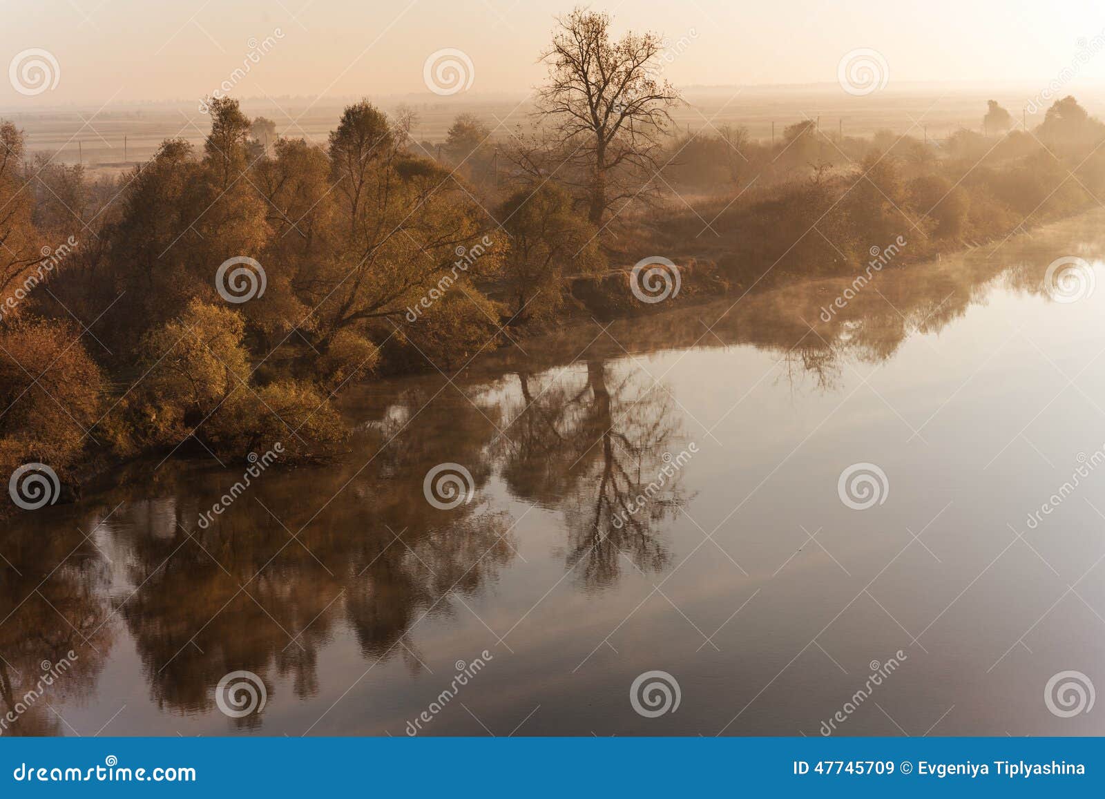 River at dawn stock image. Image of nature, water, travel - 47745709