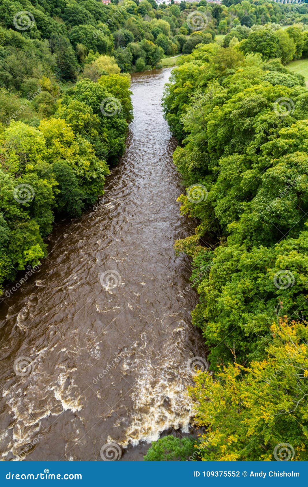 The River Dee near Wrexham stock photo. Image of nature - 109375552
