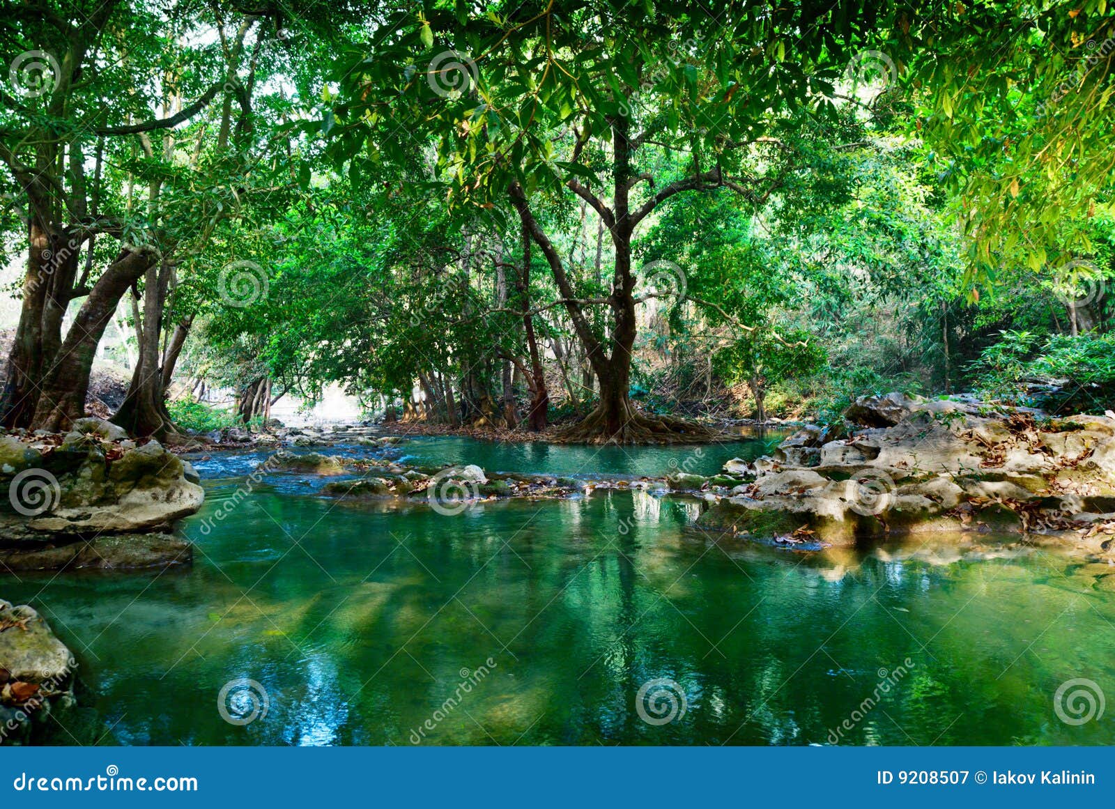 River in deep forest stock image. Image of fresh, clean - 9208507
