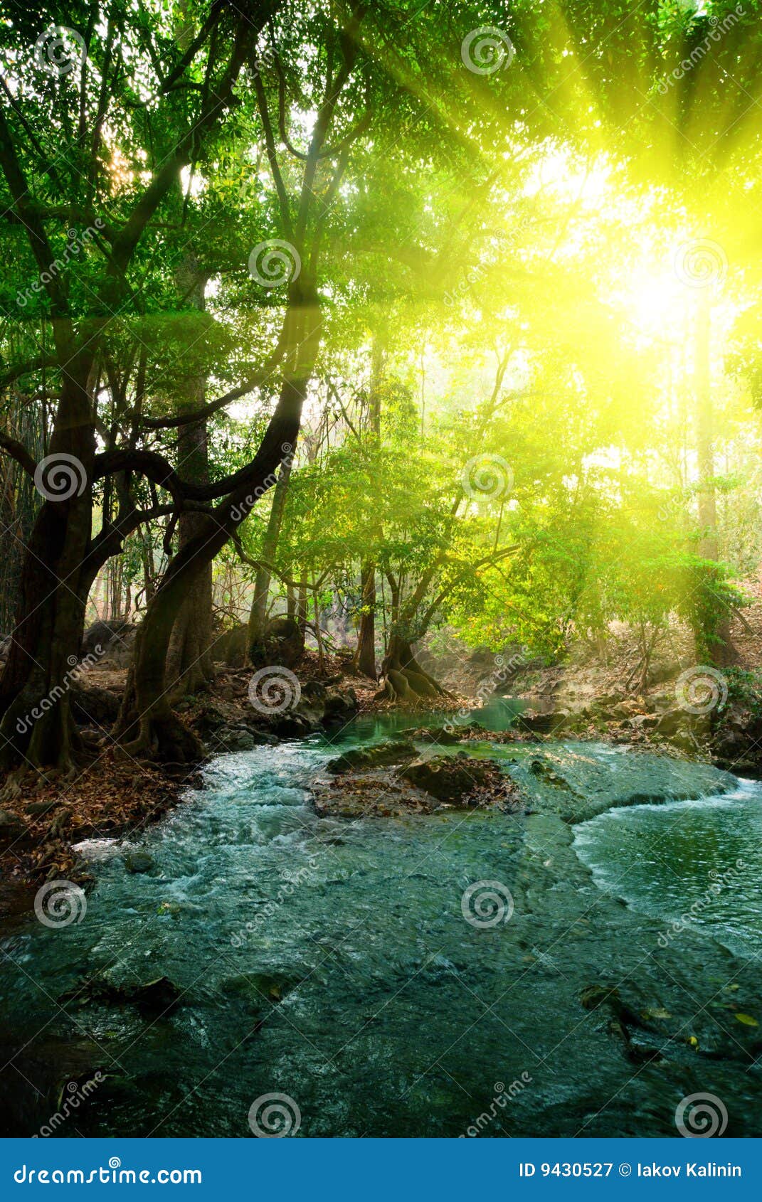 River in deep forest stock image. Image of shine, cascade - 9430527
