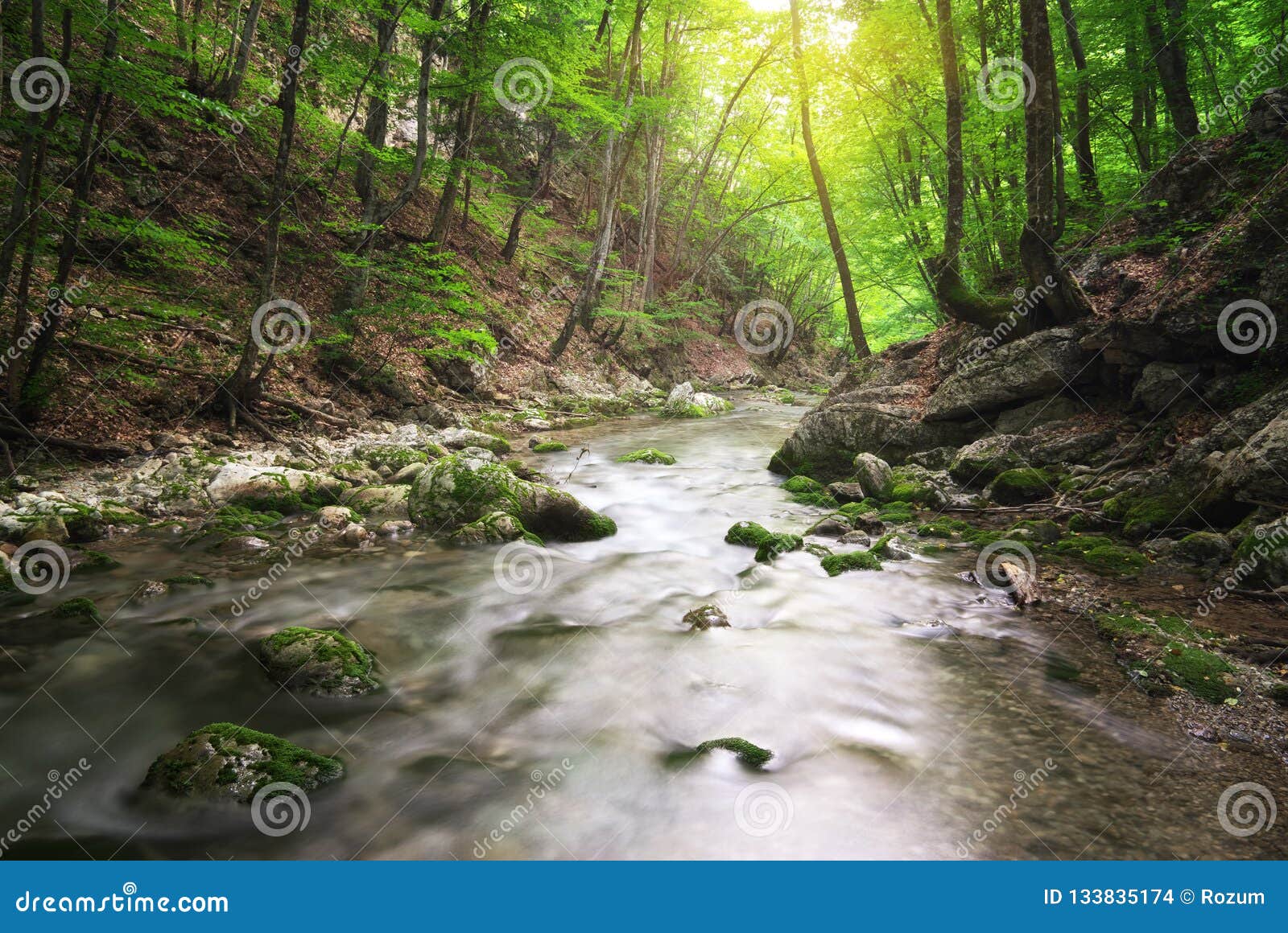 River deep in forest stock photo. Image of cascade, moss - 133835174