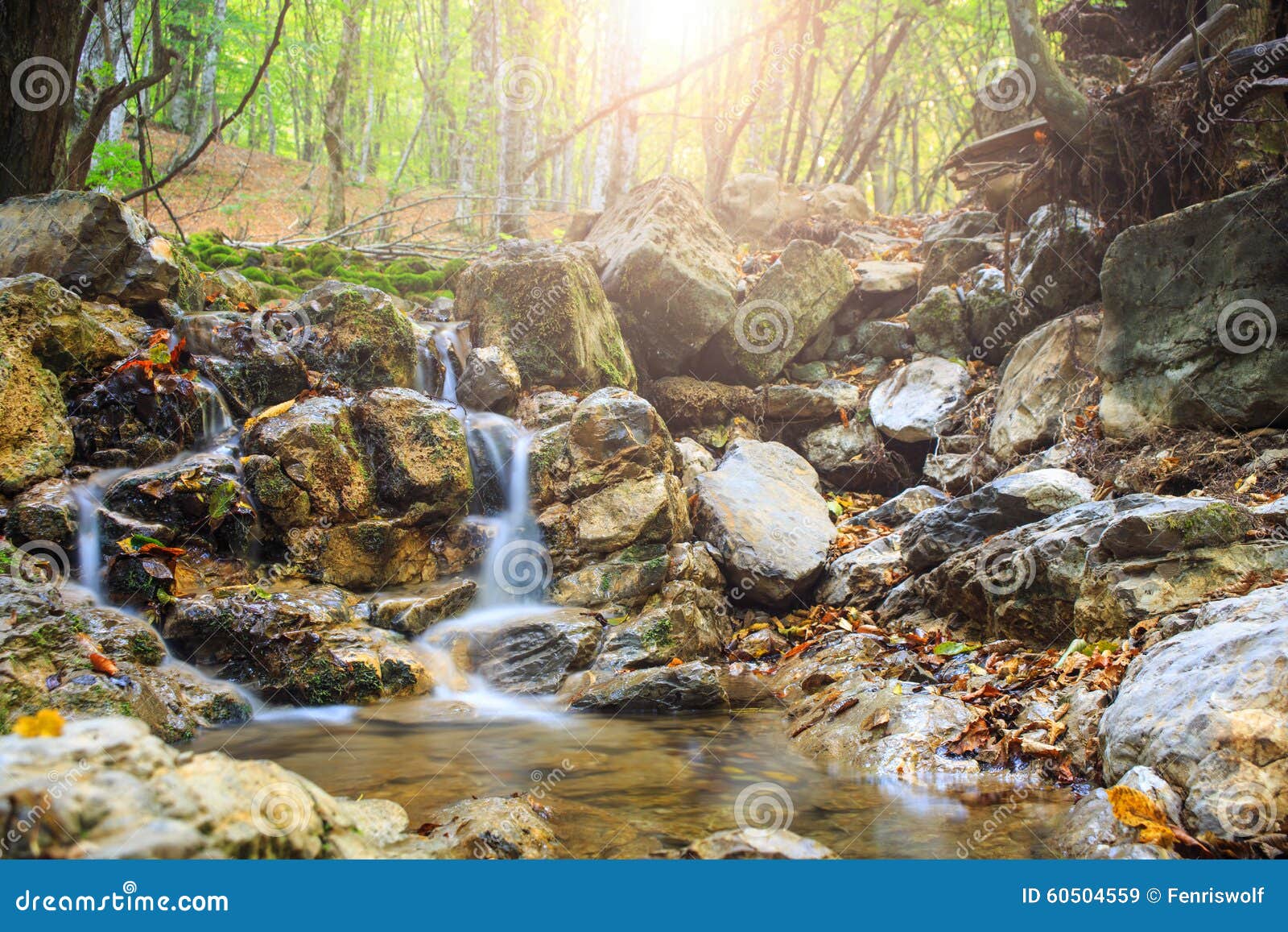 River in deep forest stock image. Image of background - 60504559