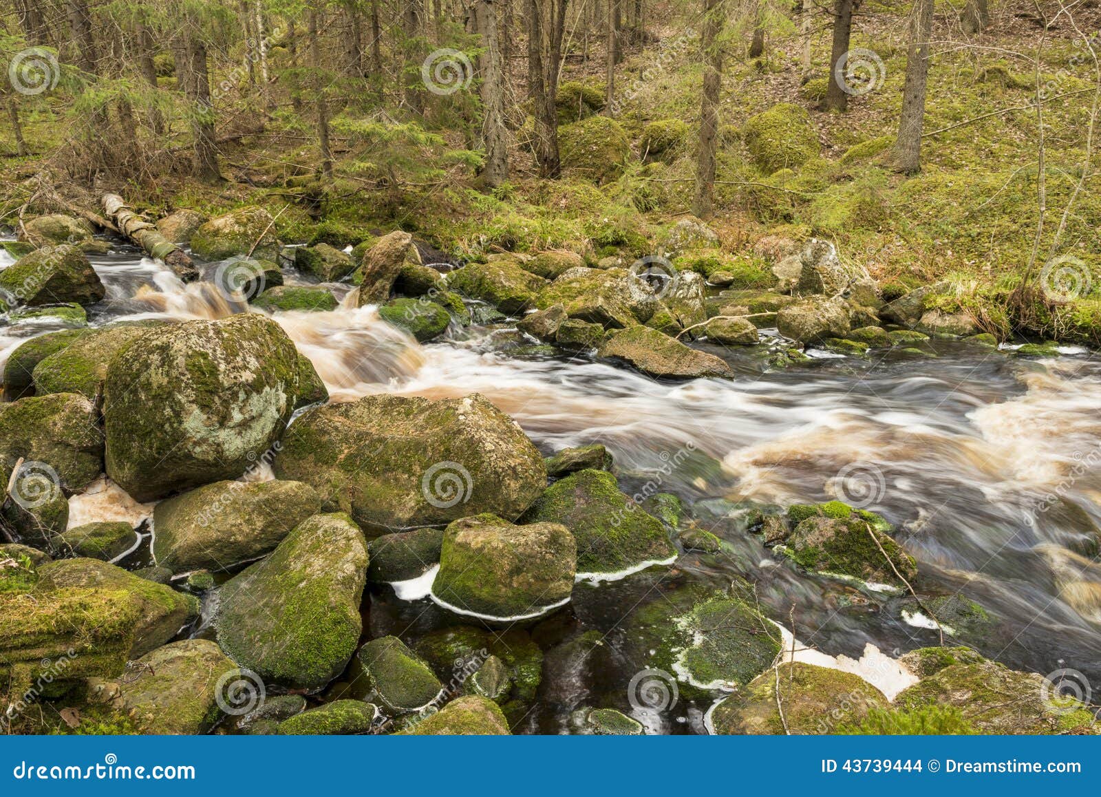 River in deep forest stock photo. Image of deep, flow - 43739444