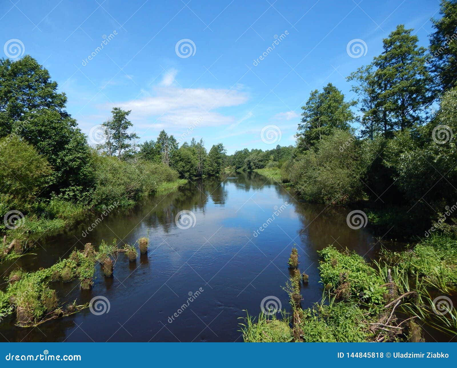 River in the deep forest. stock photo. Image of deep - 144845818