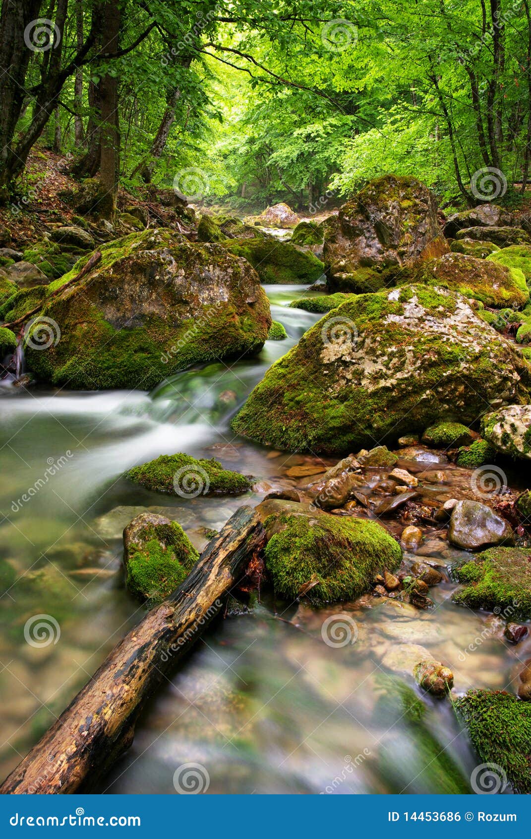 River deep in mountain stock photo. Image of scenery - 14453686
