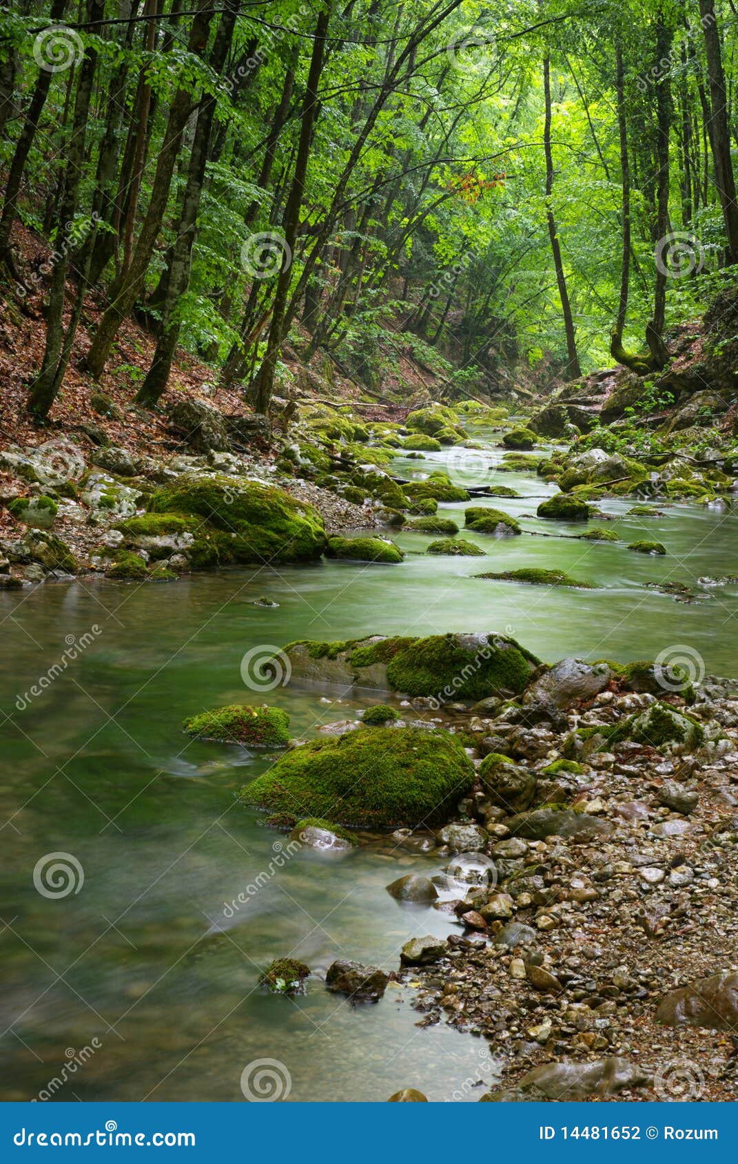 River Deep in Mountain Forest Stock Photo - Image of mountain ...
