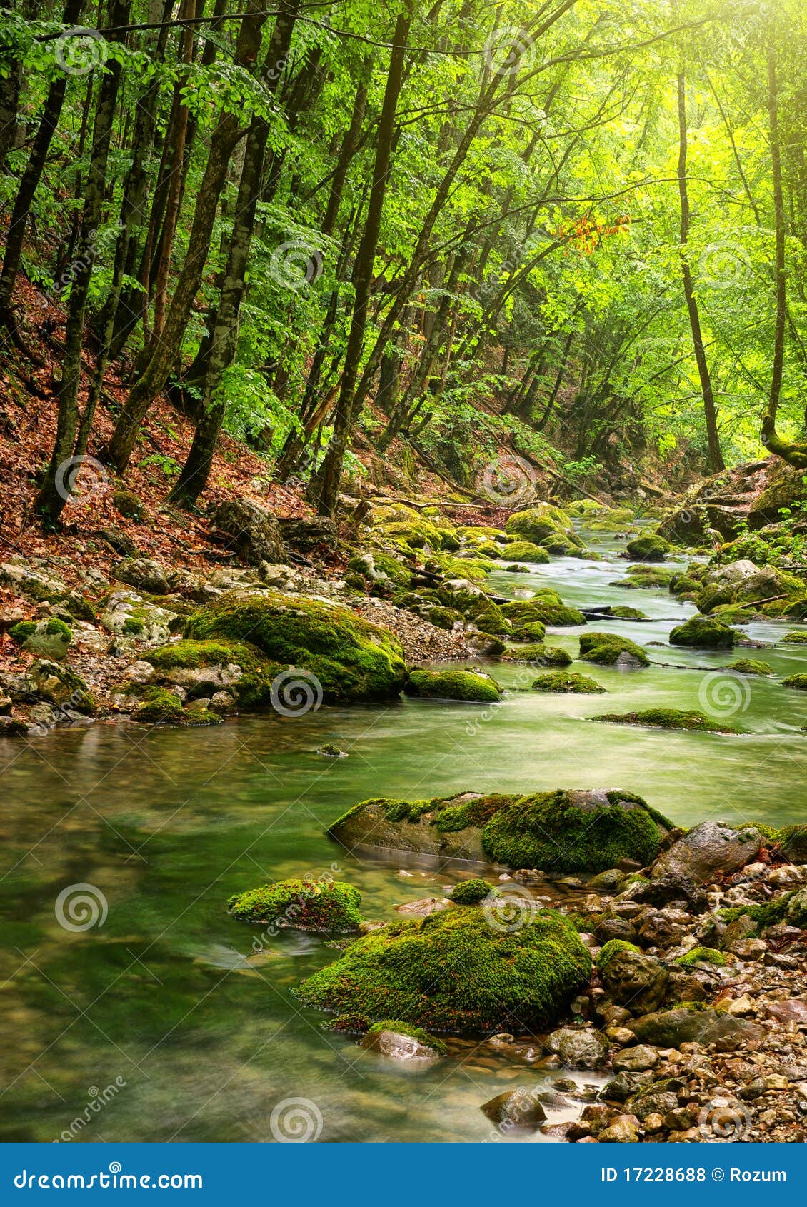 River Deep in Mountain Forest Stock Photo - Image of mountain, fall ...