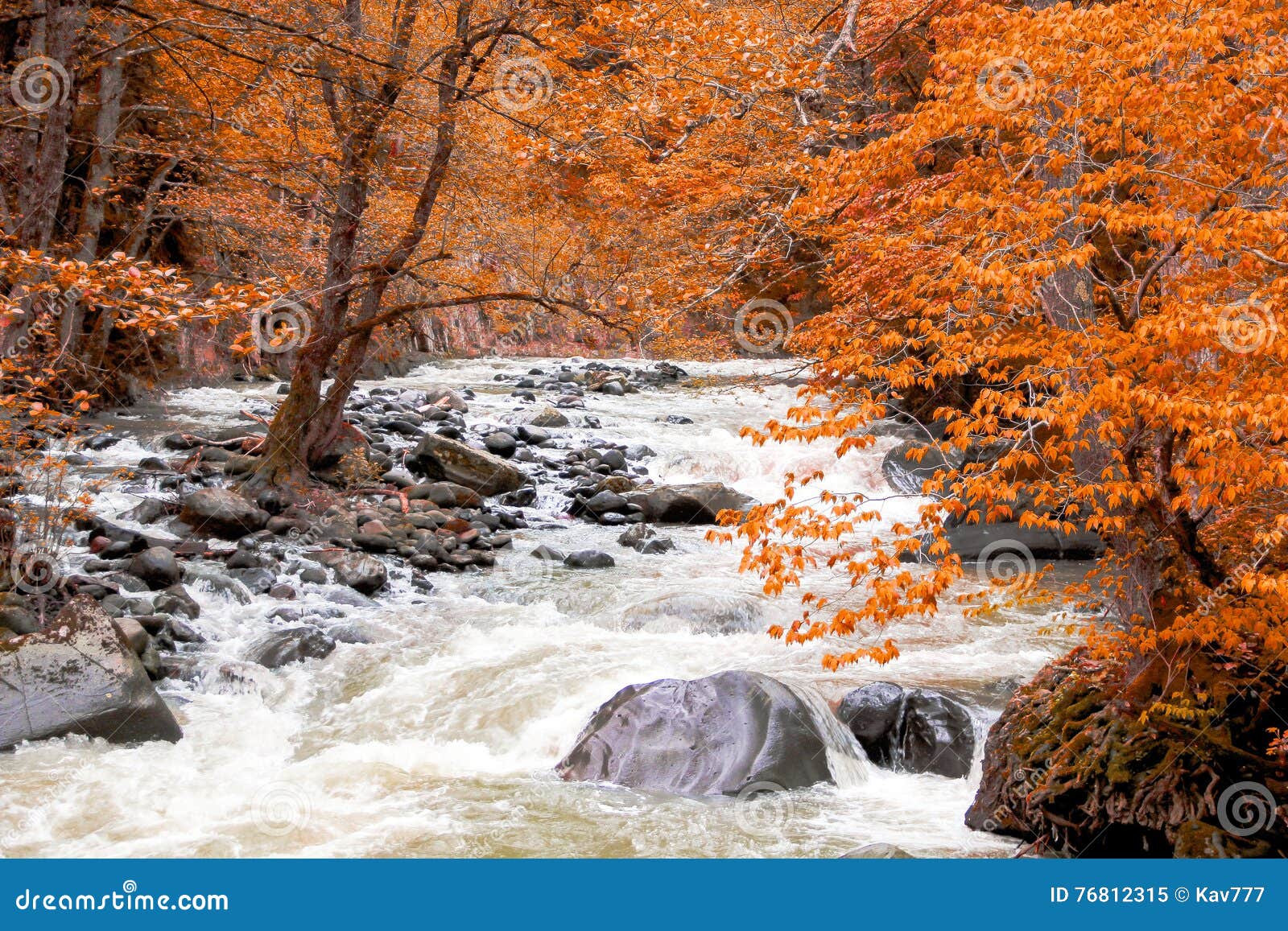 River Deep in Mountain Forest Stock Image - Image of landscape, river ...