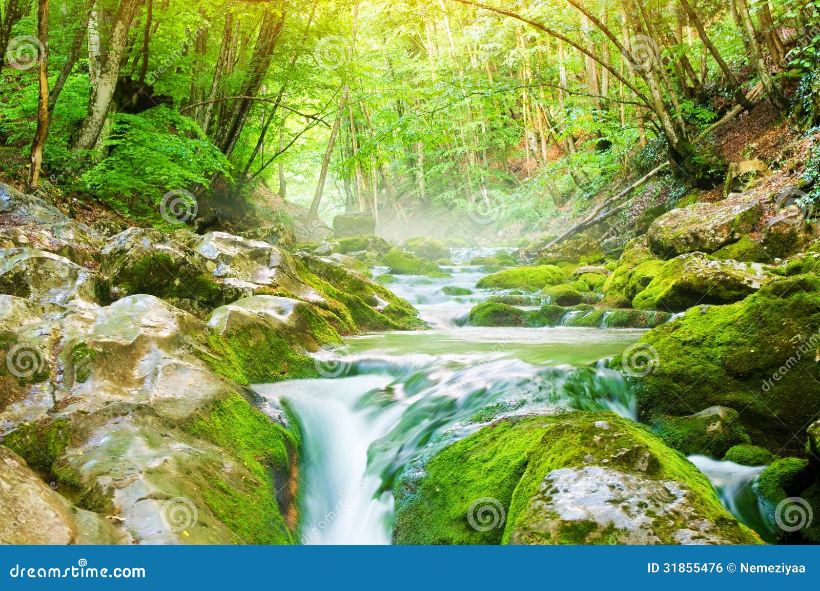 River Deep in Mountain Forest. Stock Photo - Image of clean, river ...